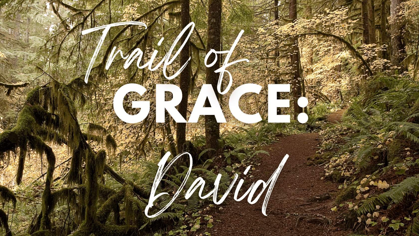 Trail of Grace: David