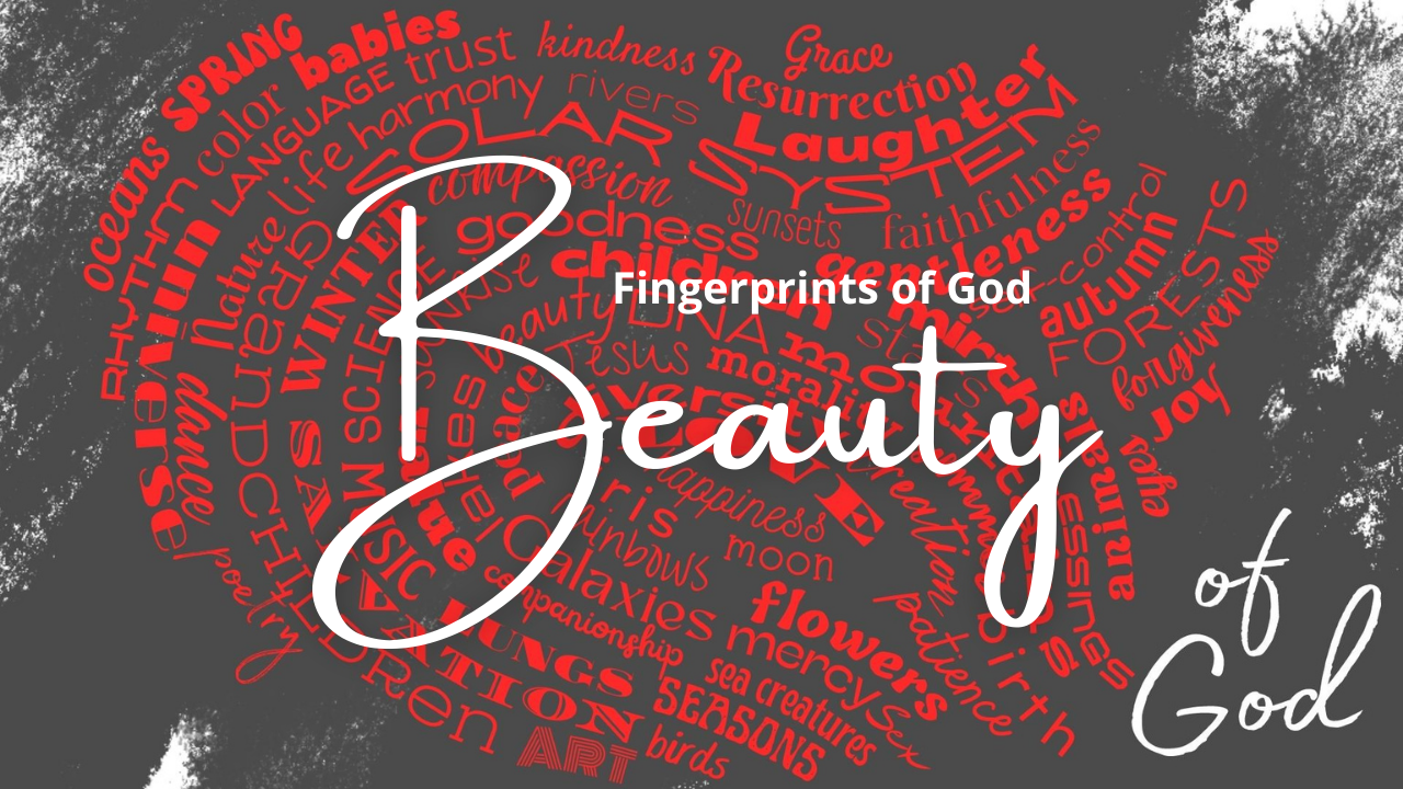 Fingerprints of God - "Beauty"