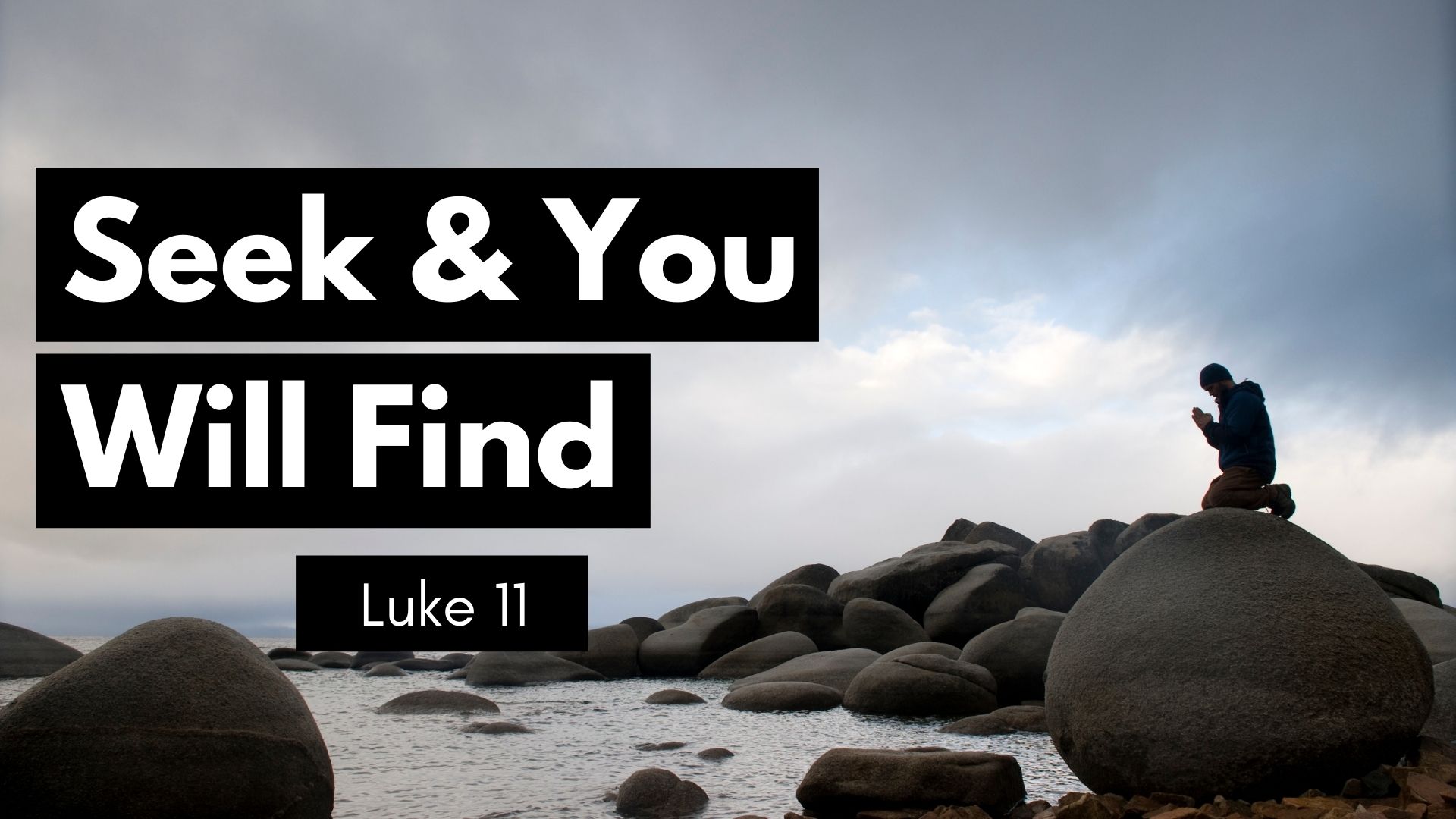 Seek & You Will Find