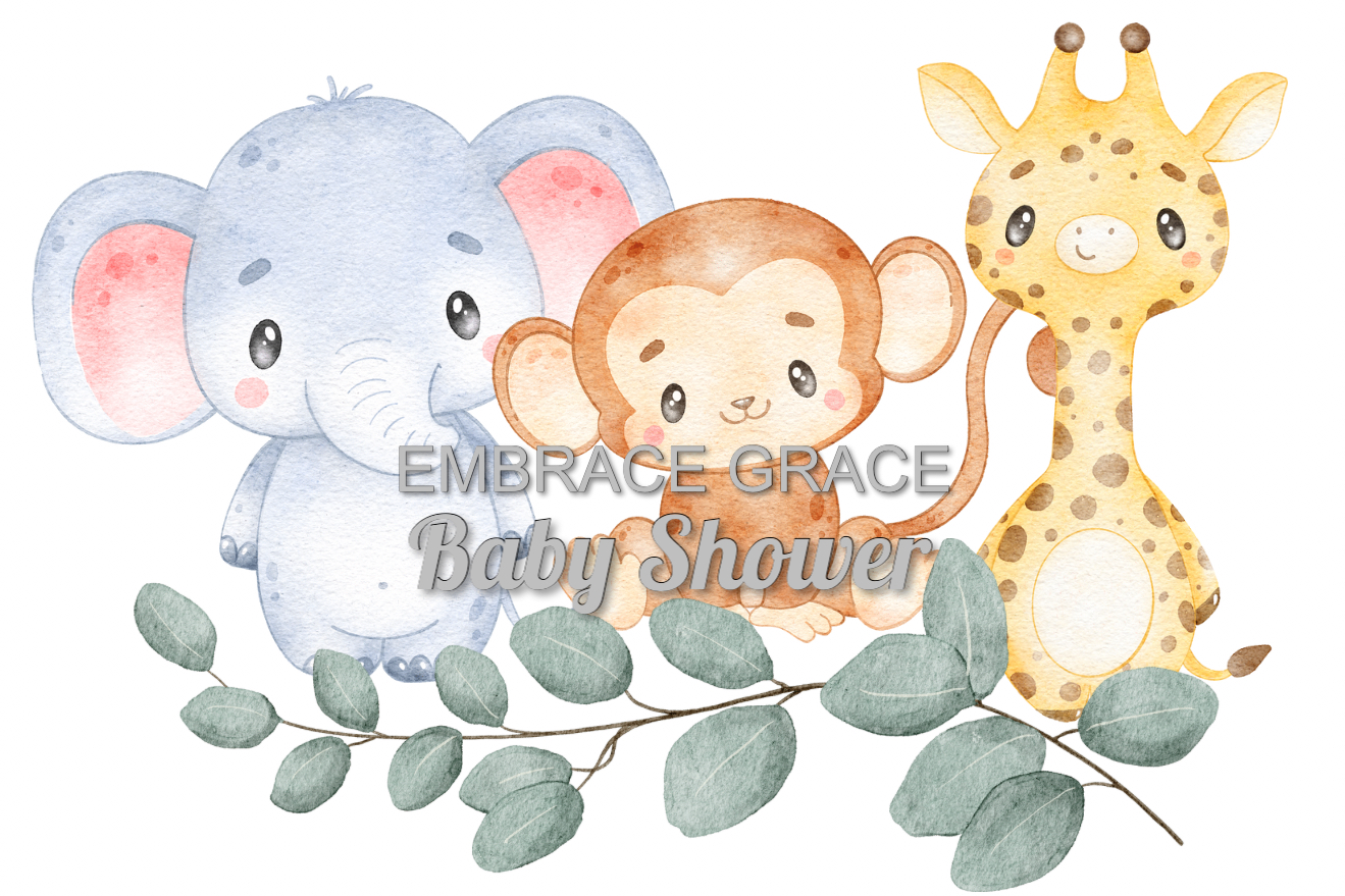 Embrace Grace Baby Shower