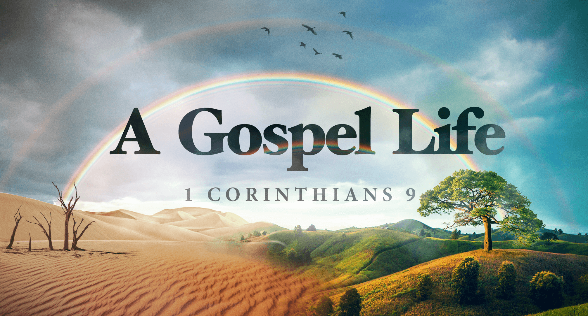 A Gospel Life