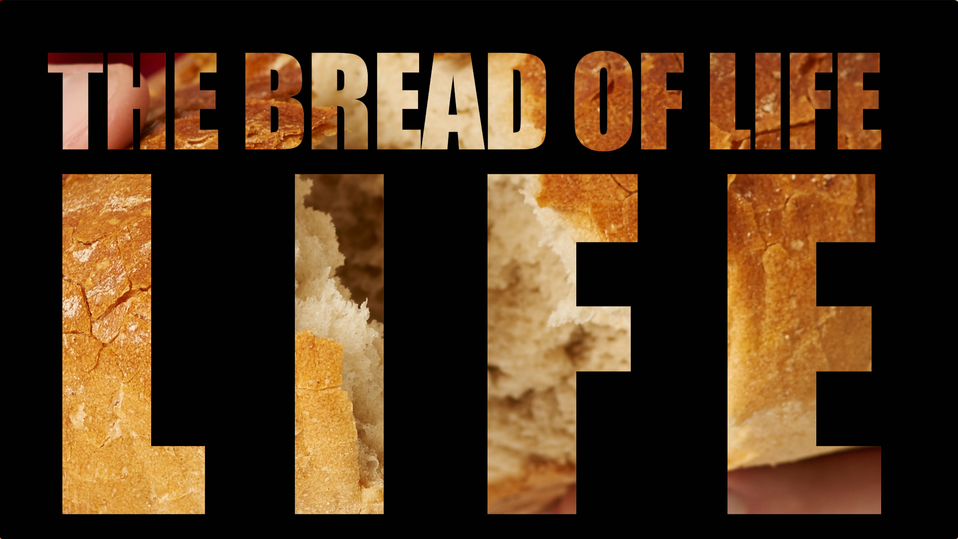 The Bread of Life