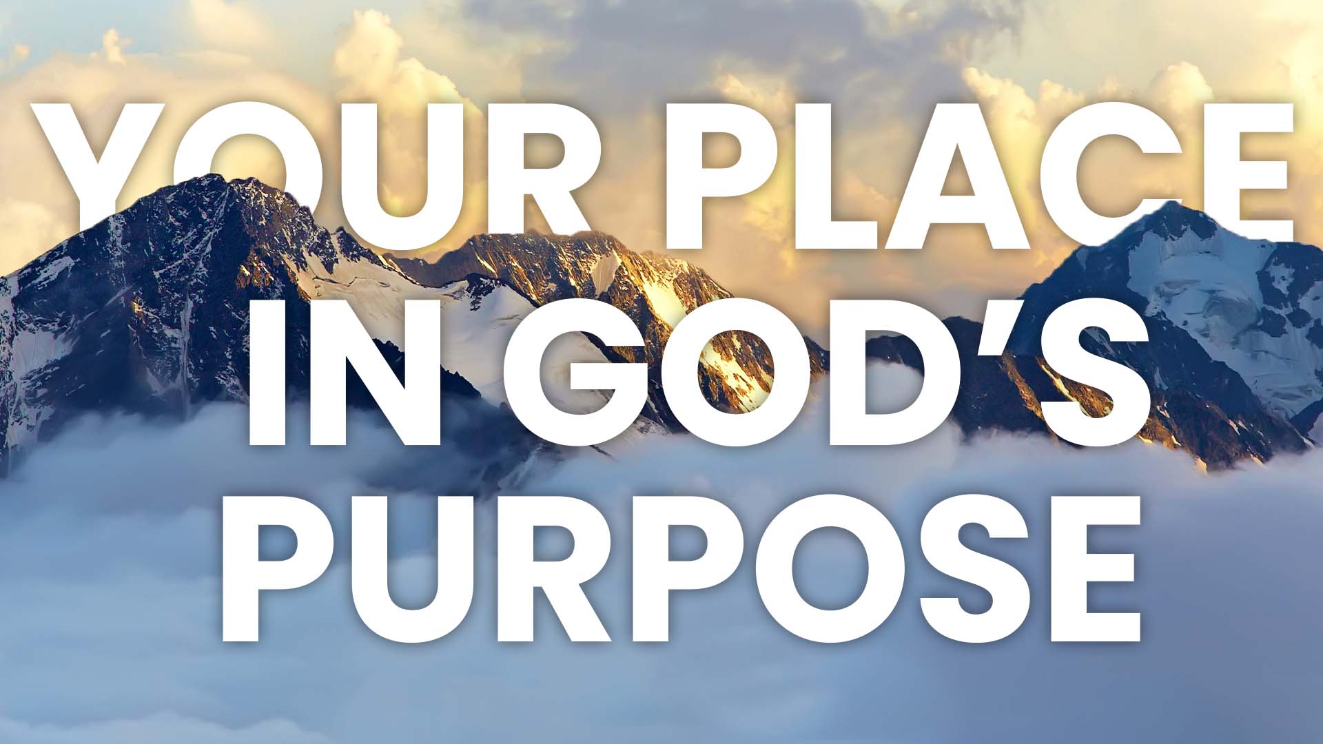 Your Place In God's Purpose