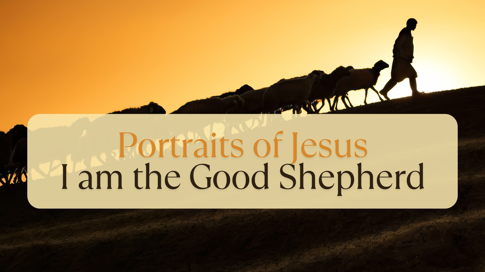 Portraits of Jesus: I am the Good Shepherd
