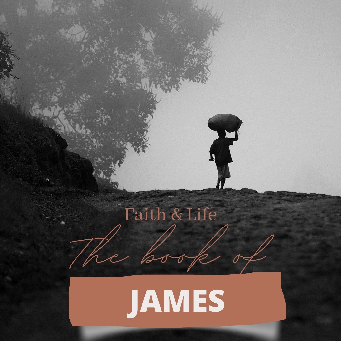 James 3:13 - 4:12 Living Out Authentic Christianity (2017)
