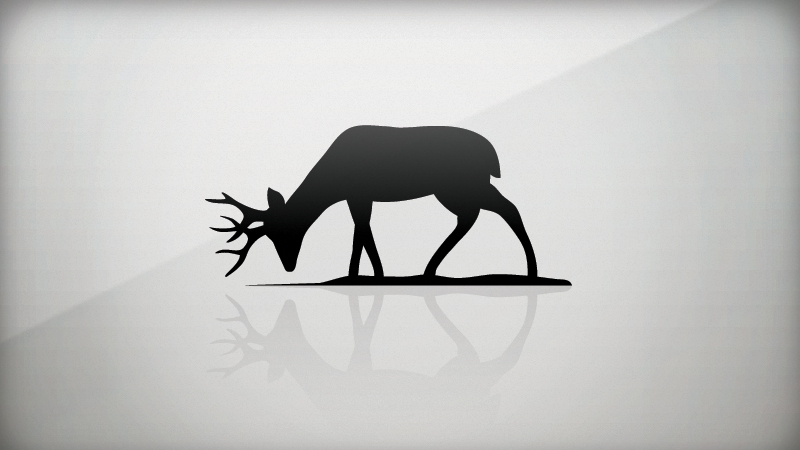 How Long O Lord? | Tim Shorey | Psalm 13