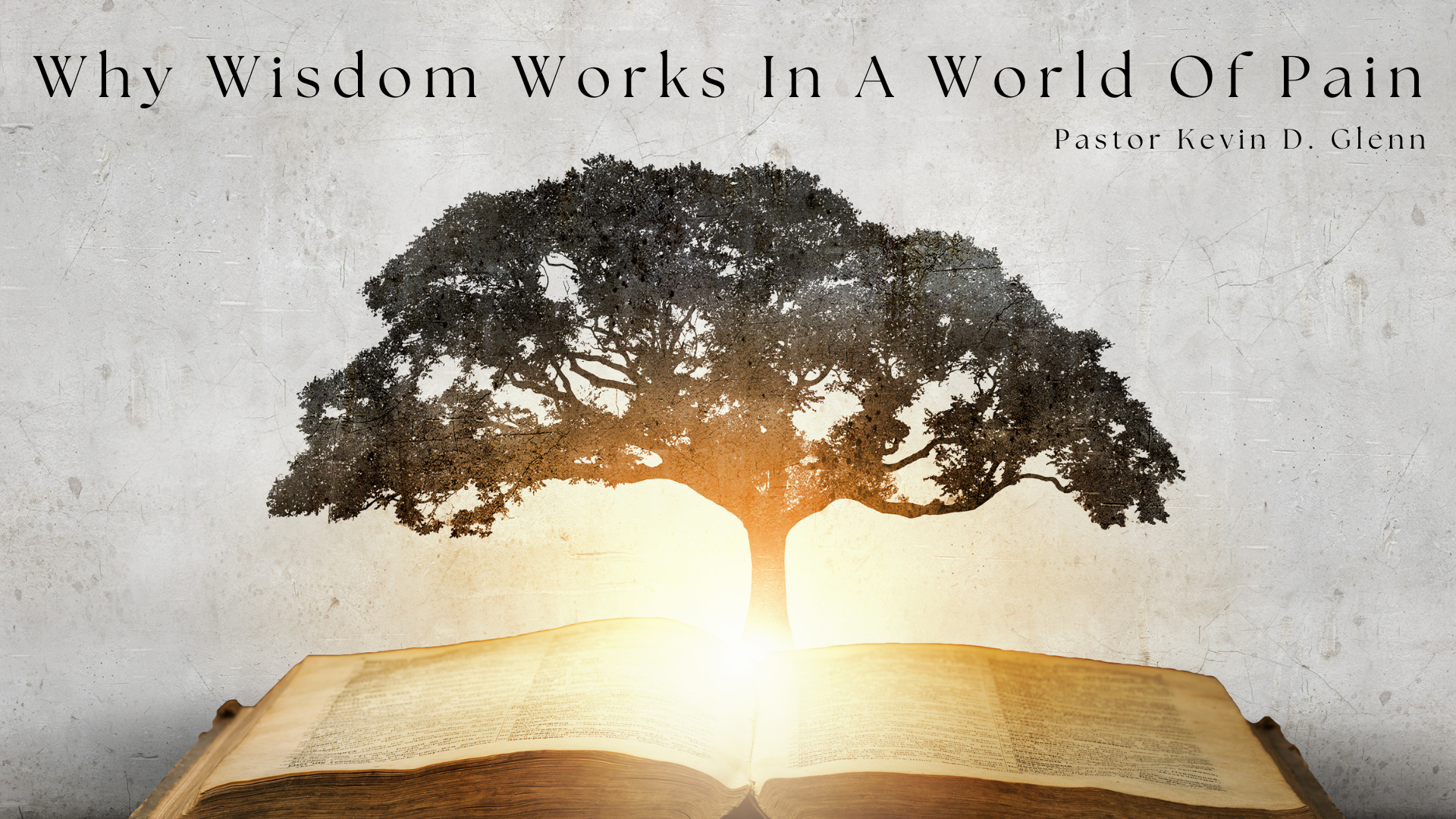 Why Wisdom Works In A World Of Pain