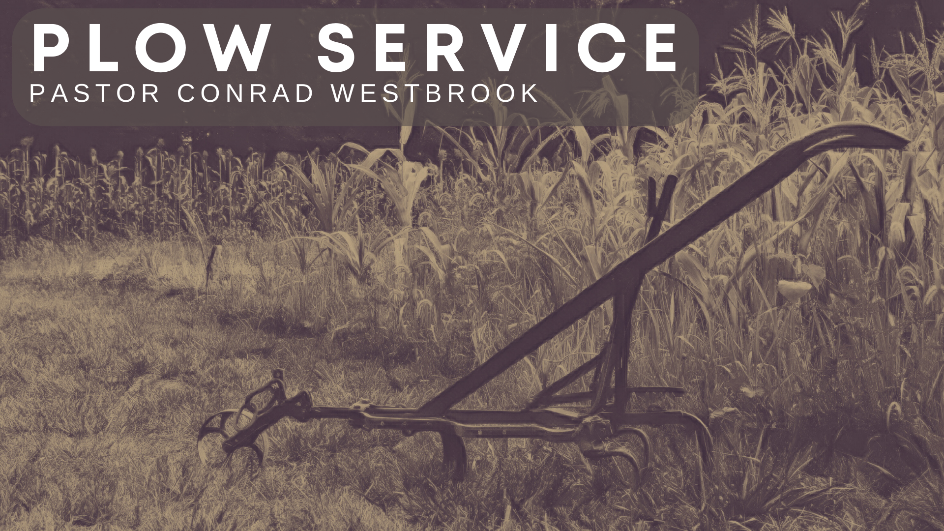 Plow Service
