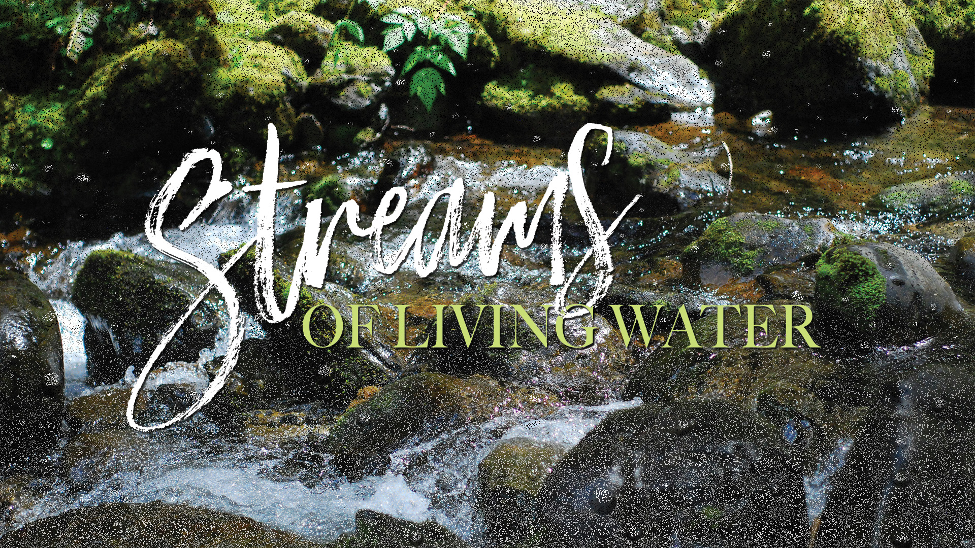 Streams of Living Water