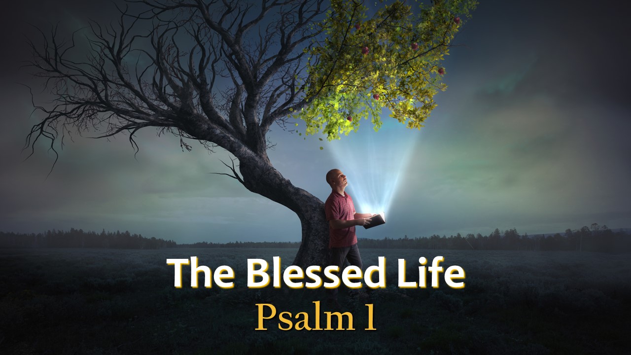 The Blessed Life