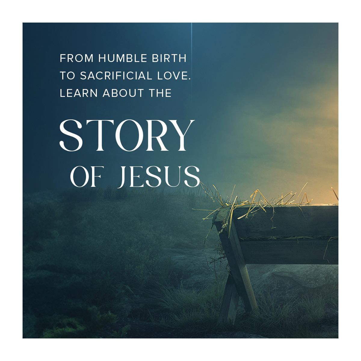 Behold a Savior is Born - The Servant Love of Jesus