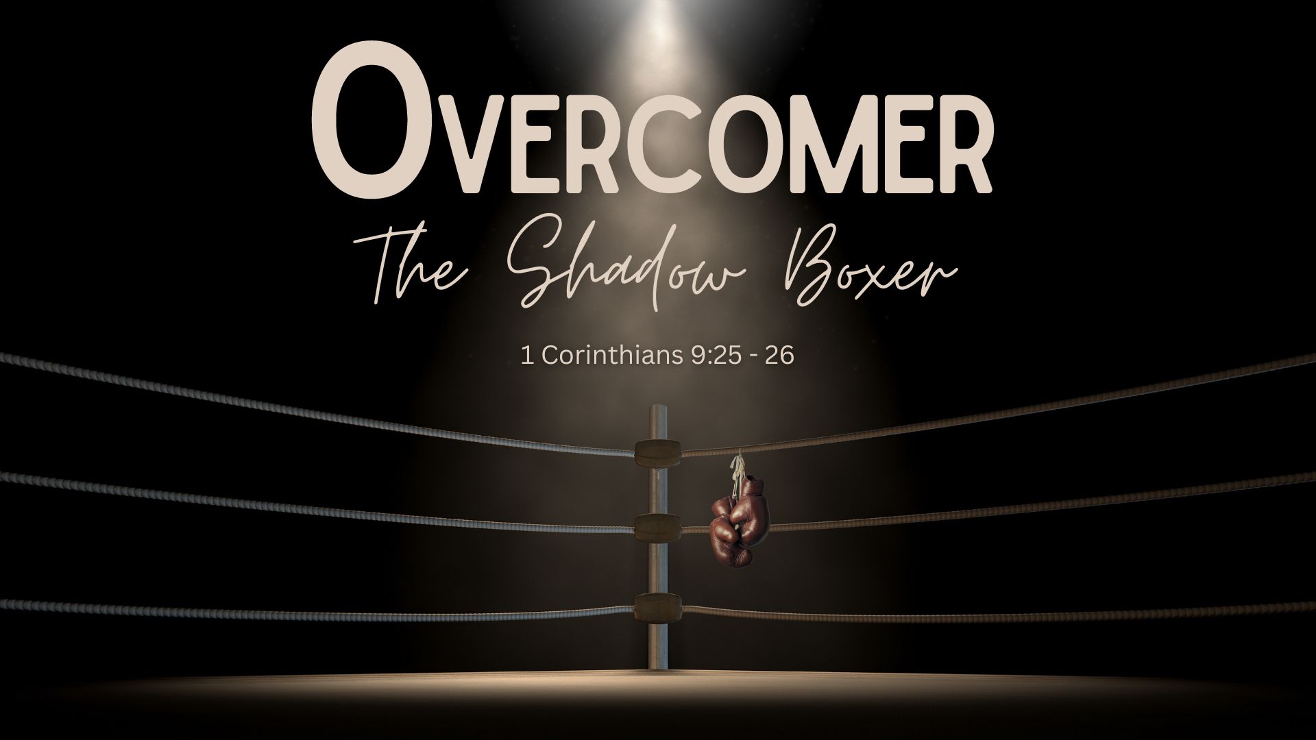 Overcomer: The Shadow Boxer