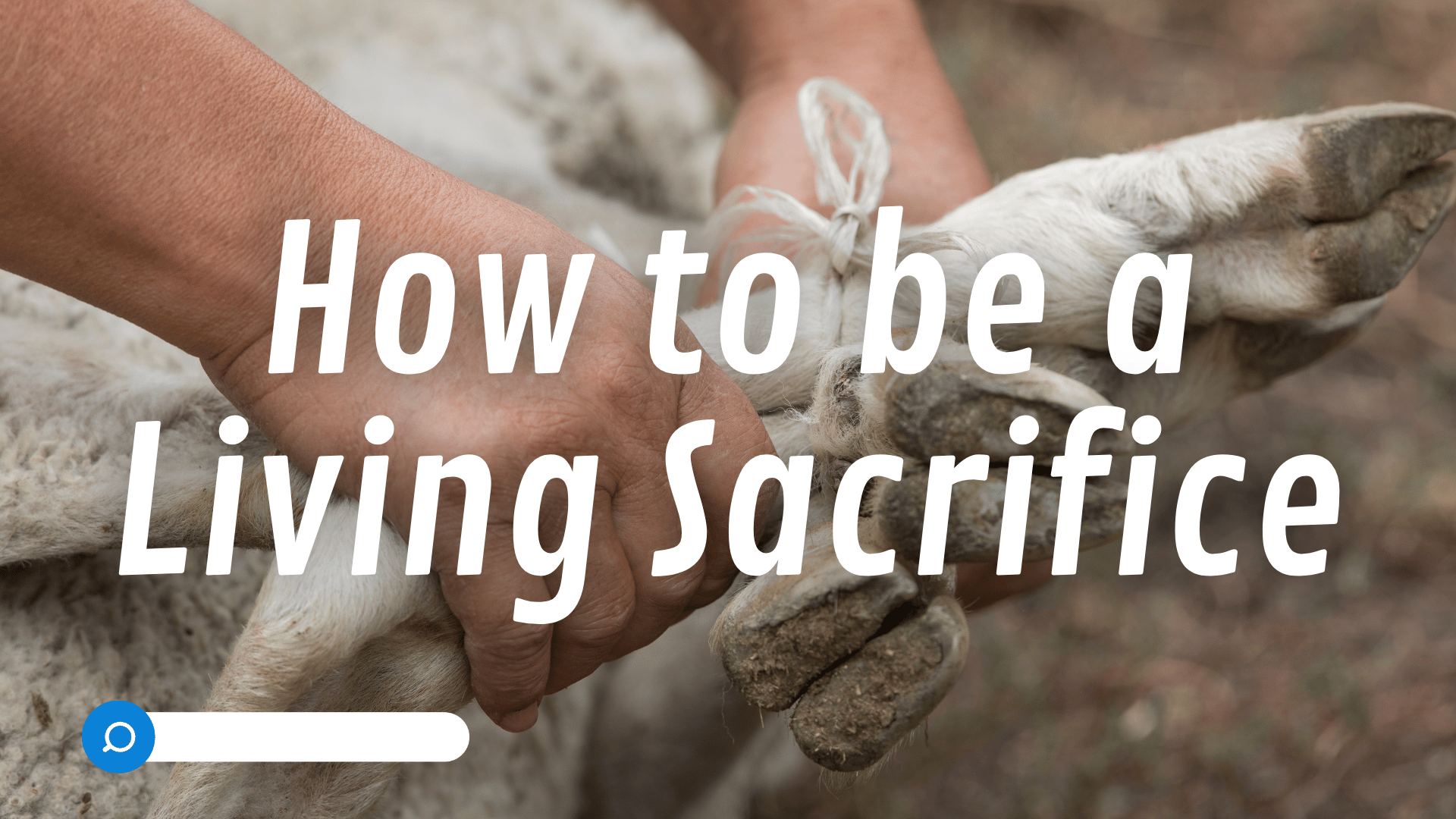 How To Be A Living Sacrifice