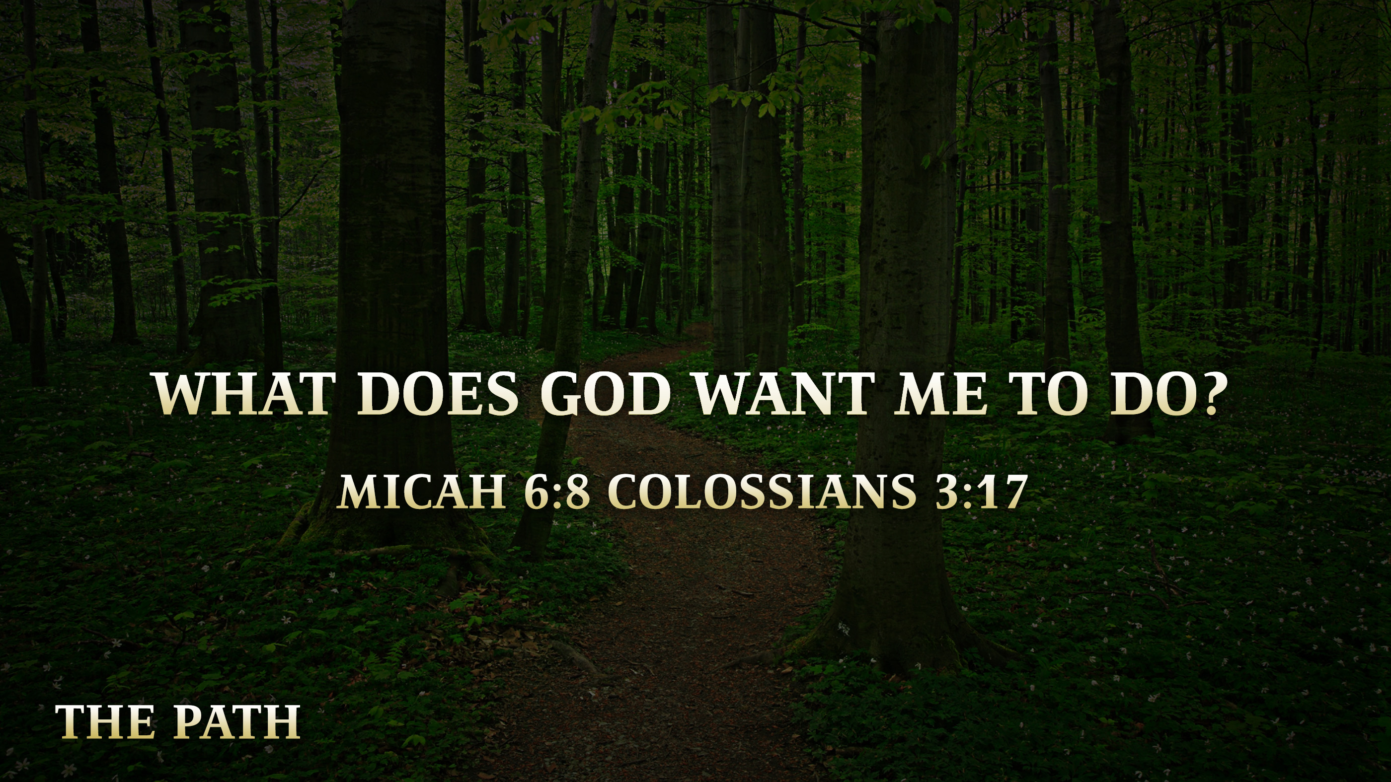 What Does God Want Me To Do?