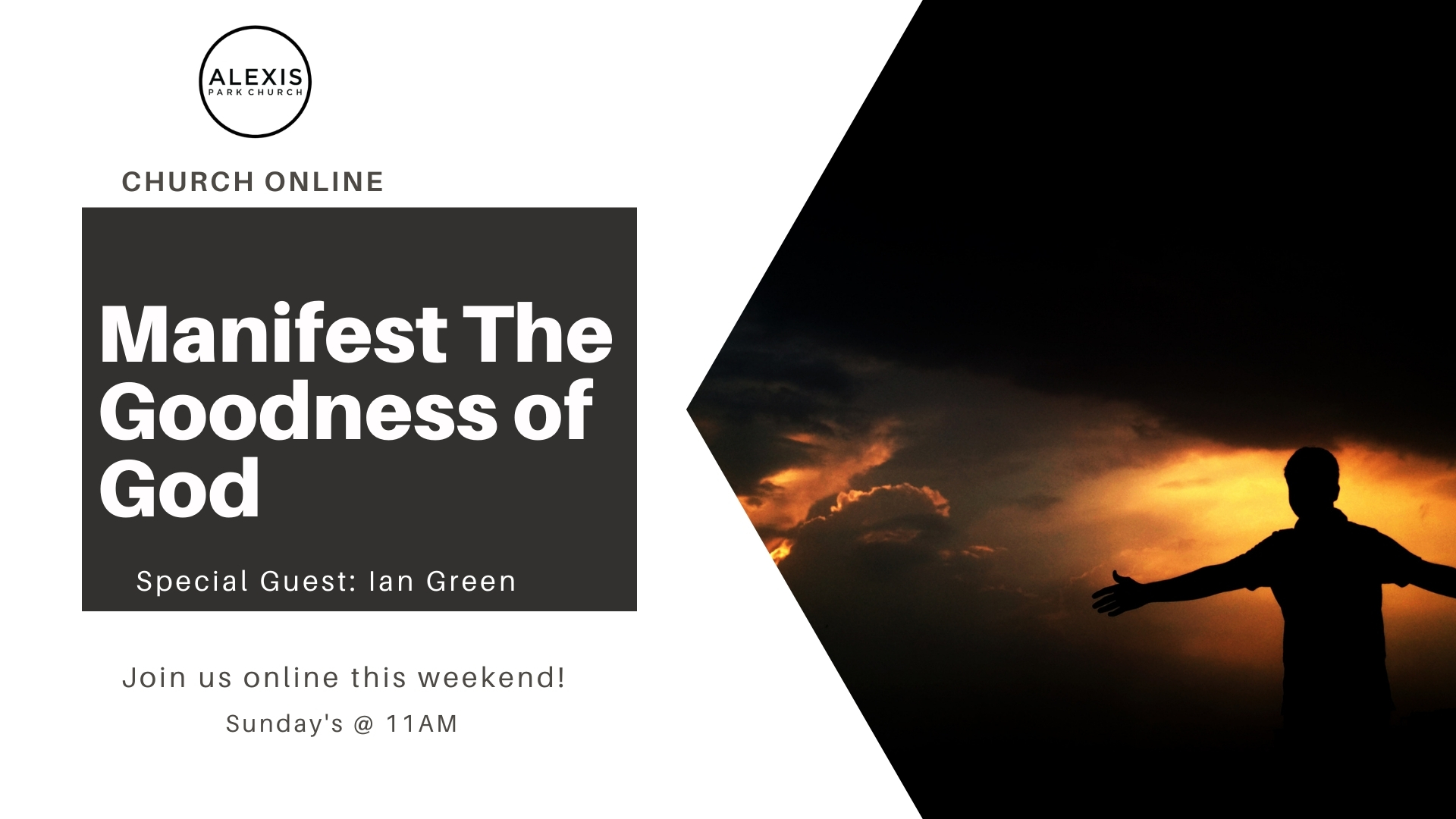 Manifest The Goodness of God