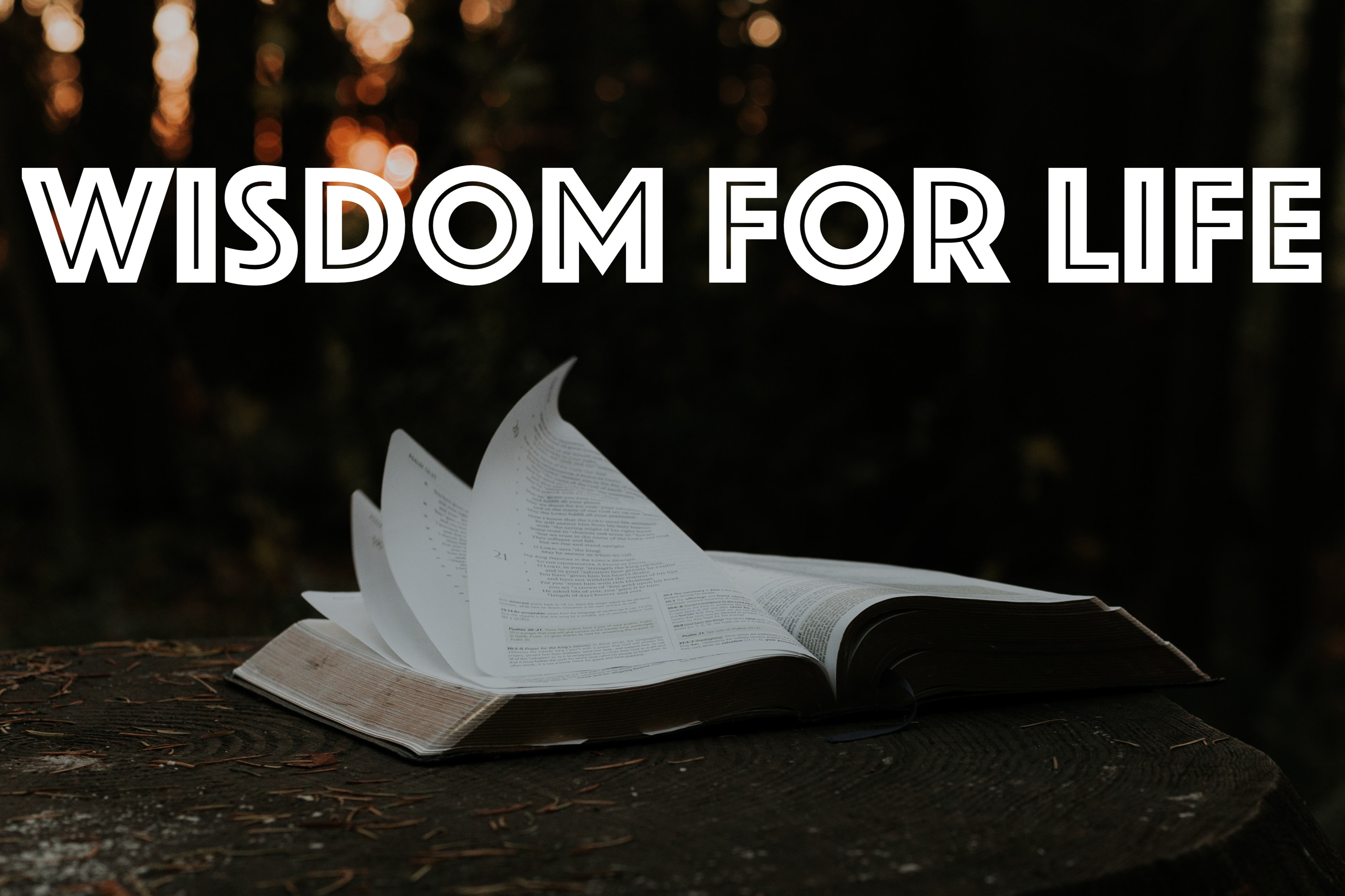 Wisdom for Life: Wisdom for Marrying Well