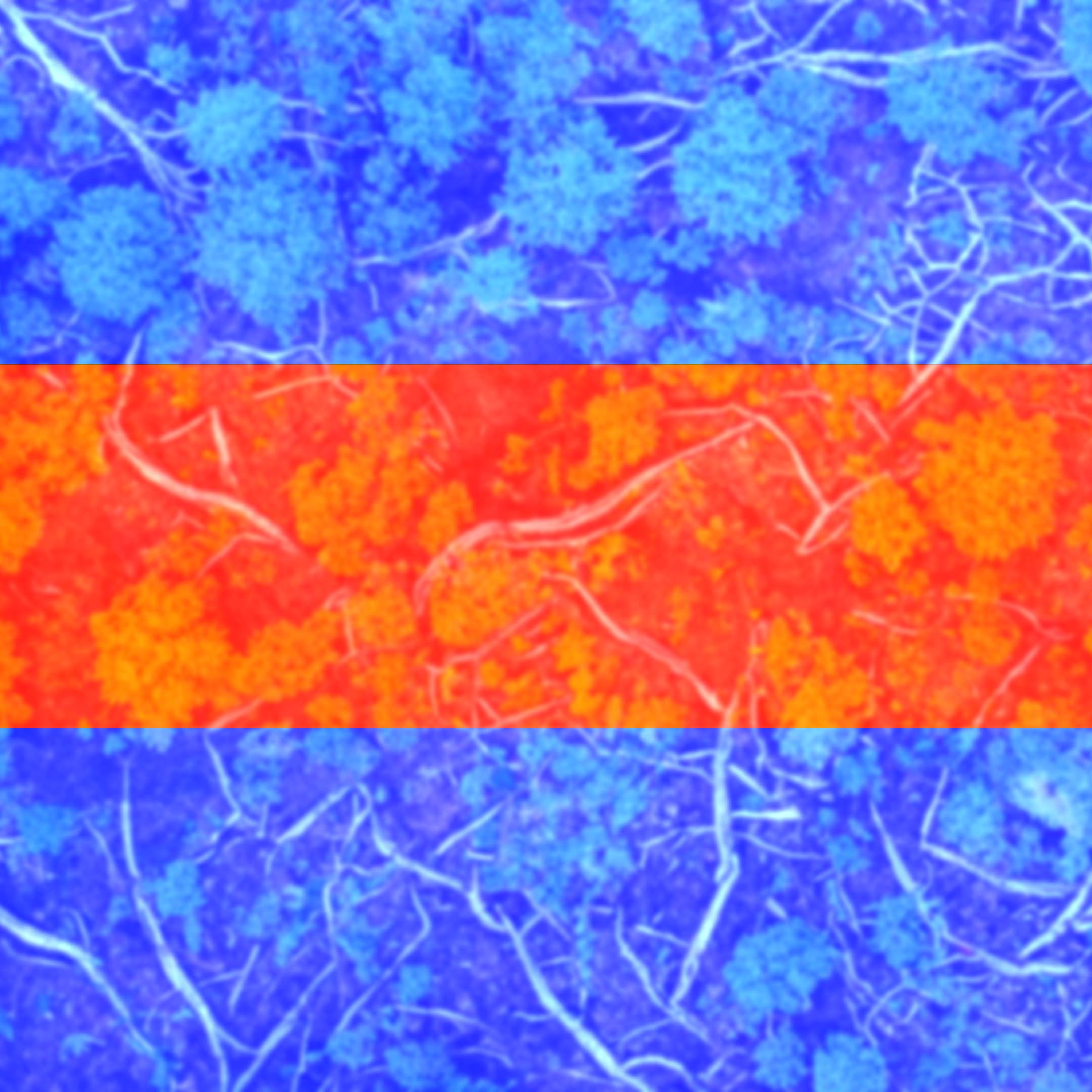 ntertwined | The Heart of MCC - Discover