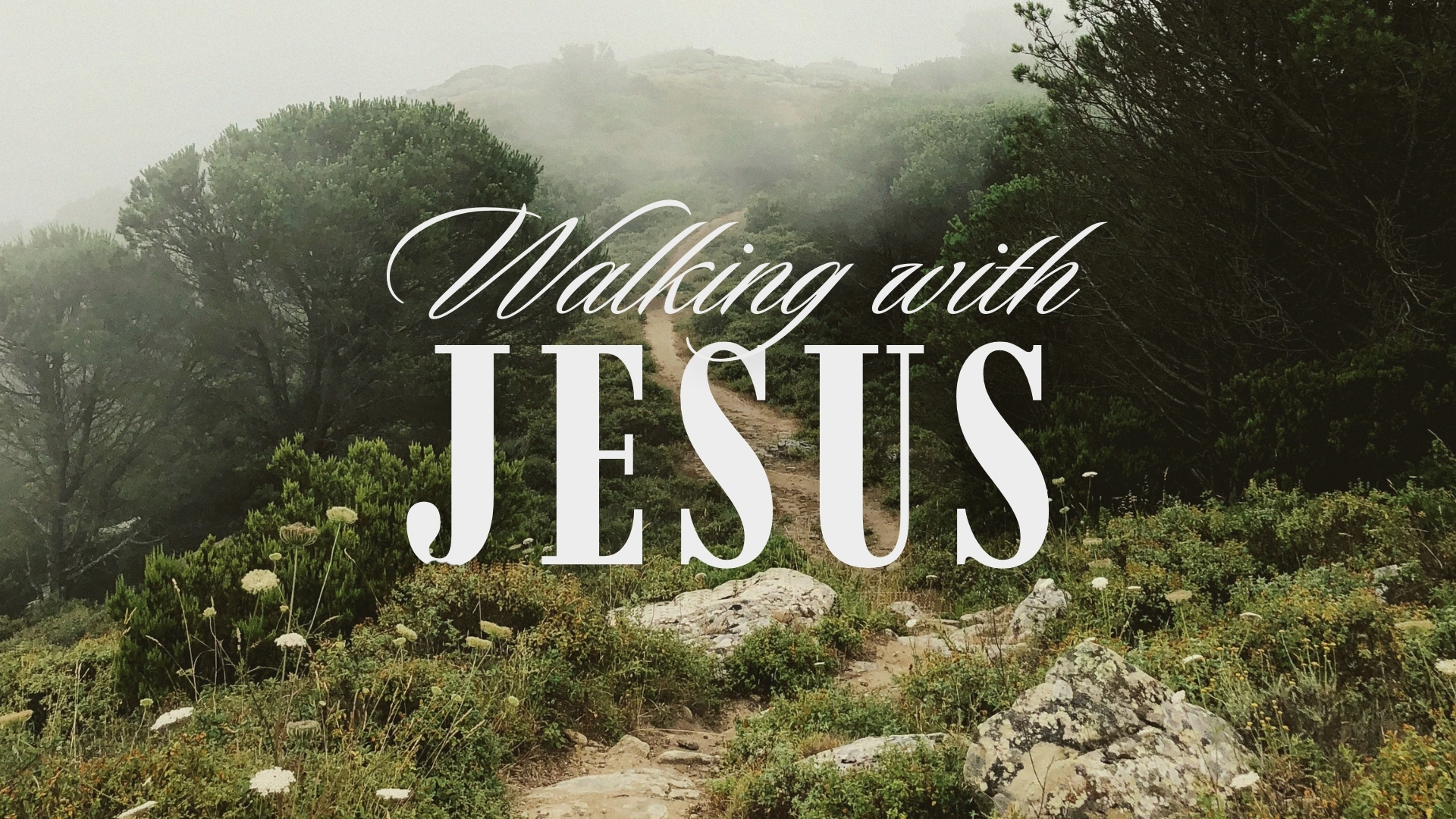 Walking with Jesus—Week 1