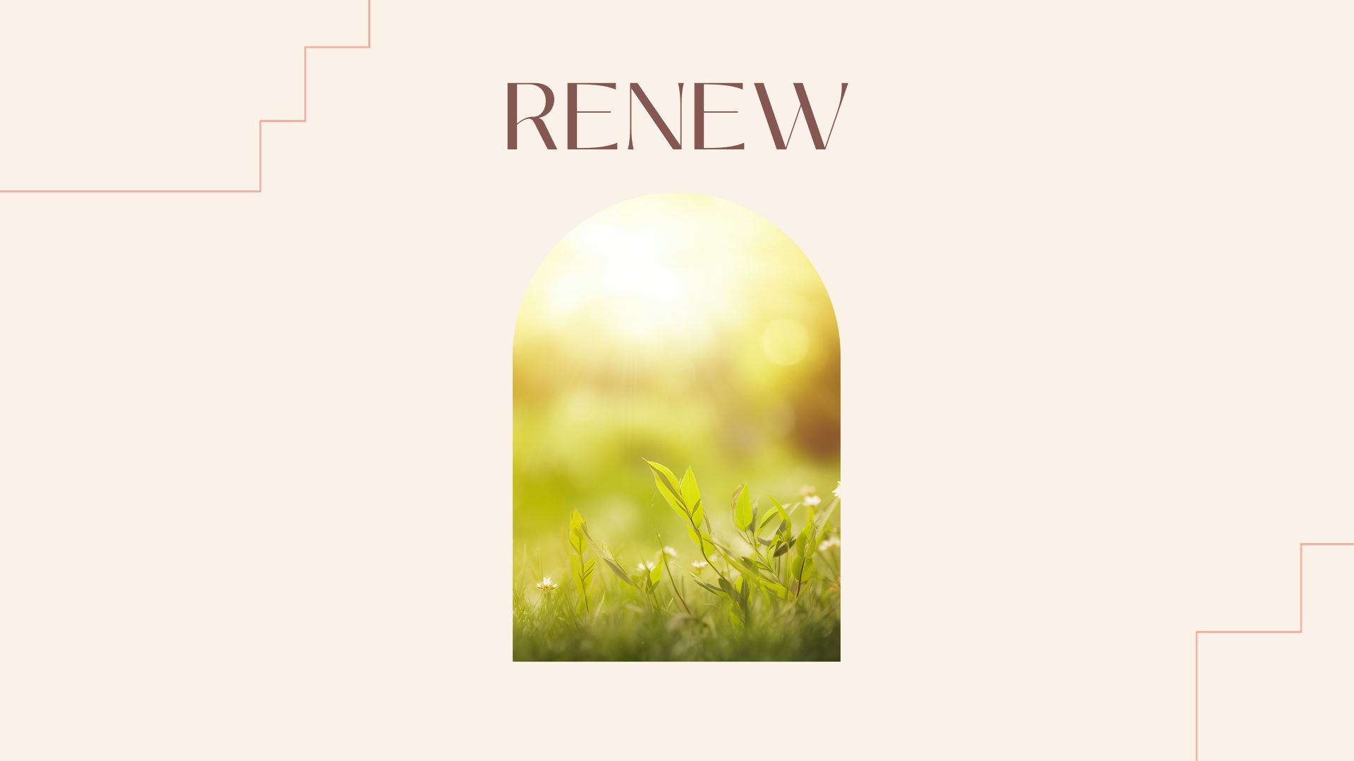 World Renewal