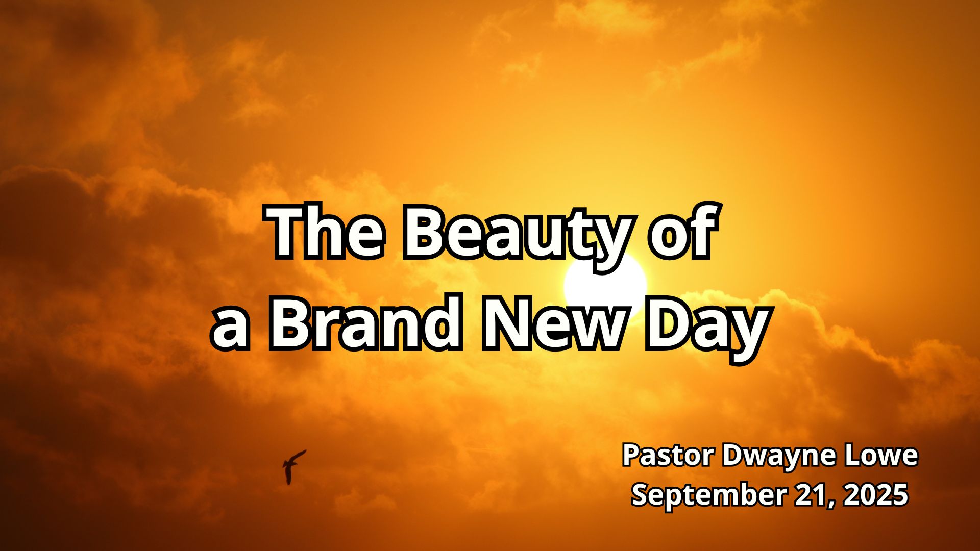 The Beauty of a Brand-New Day