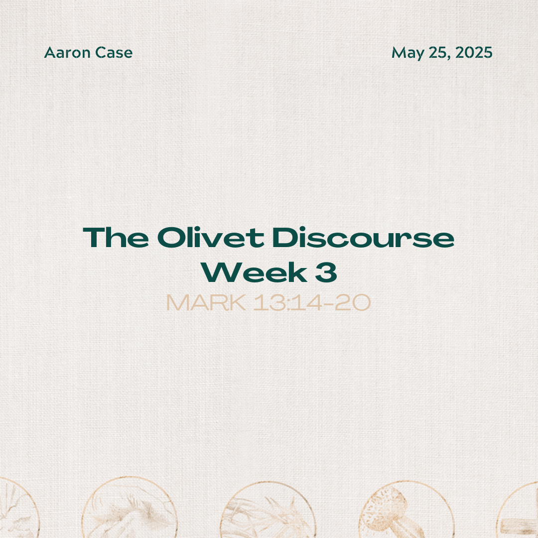 The Olivet Discourse Week 3