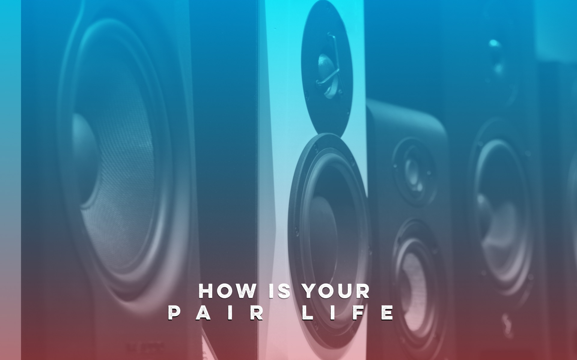 How is your pair life?