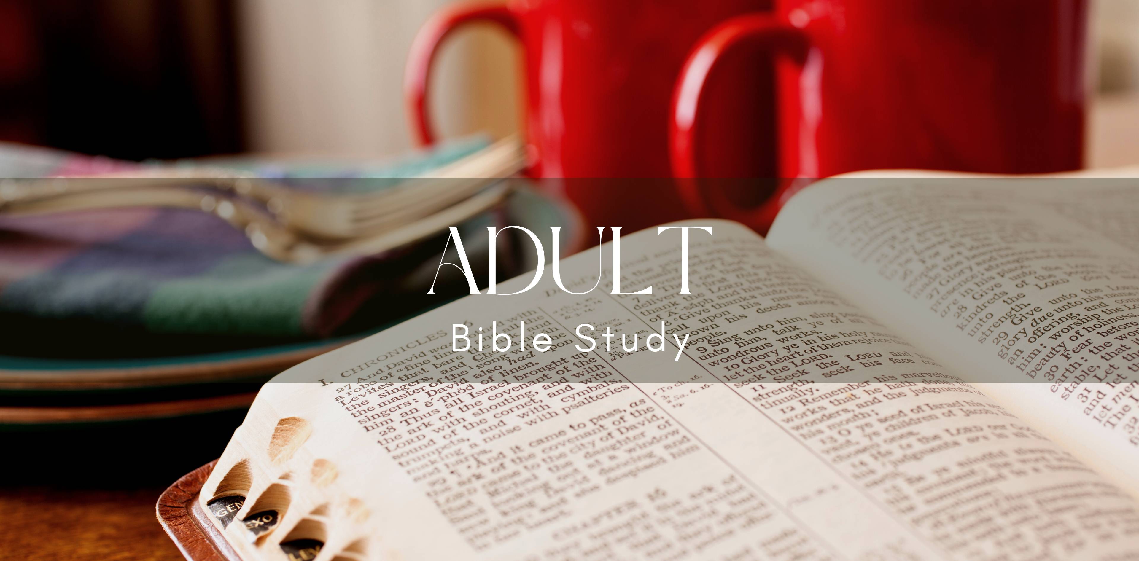 Adult Bible Study