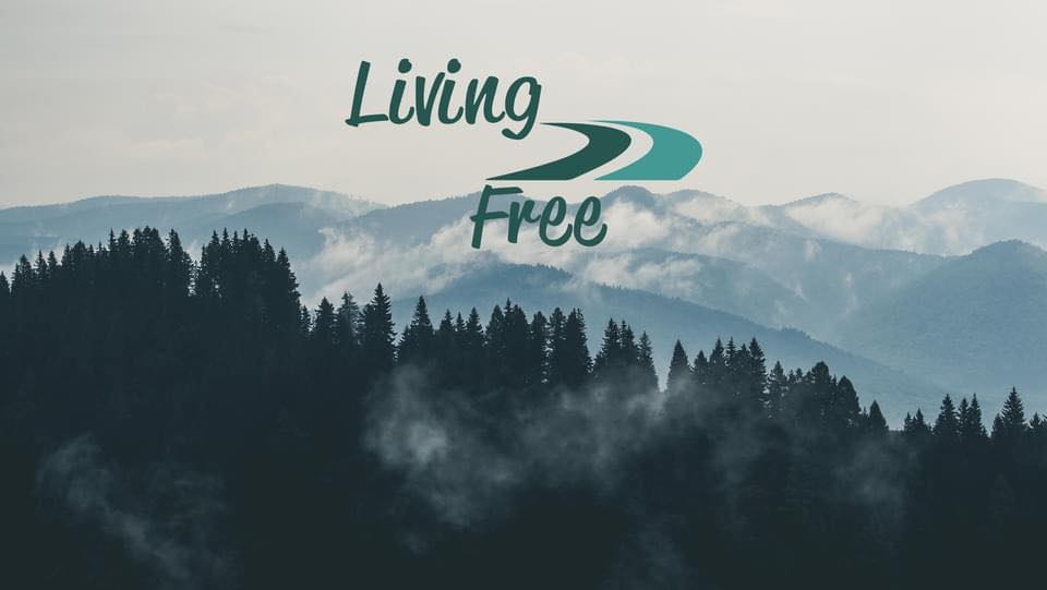Living Free Life Groups