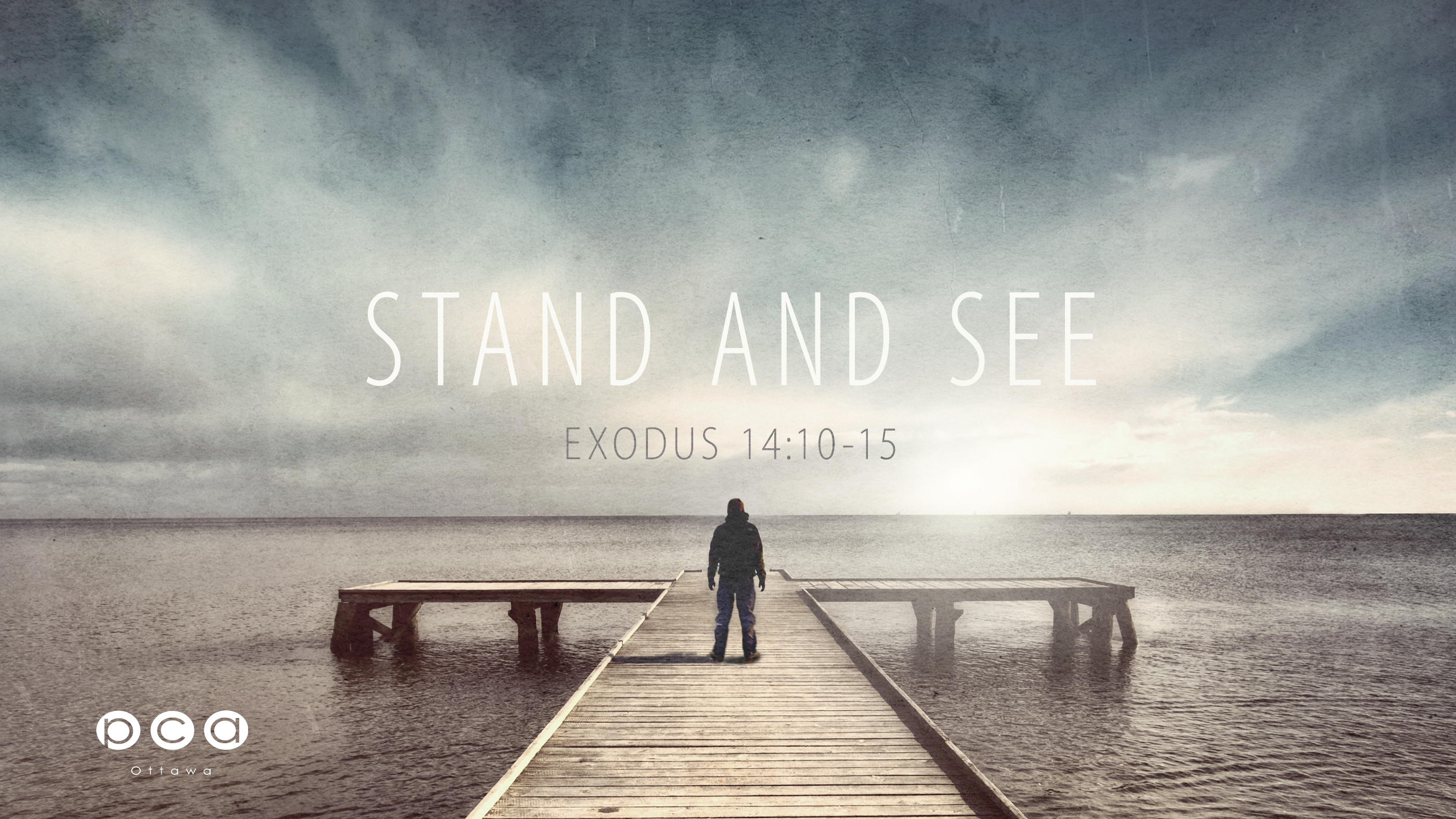 Stand and See
