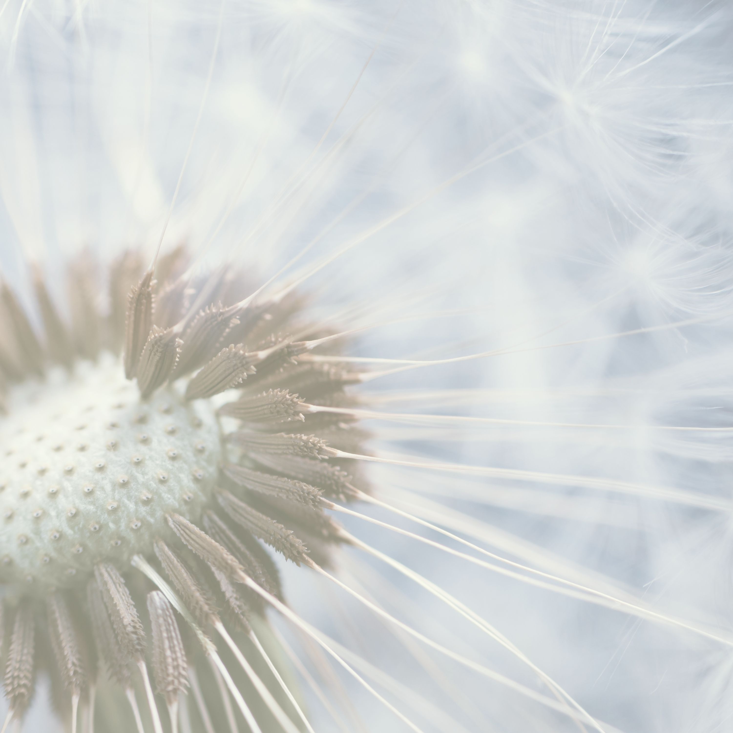 Our Spanish Ministry