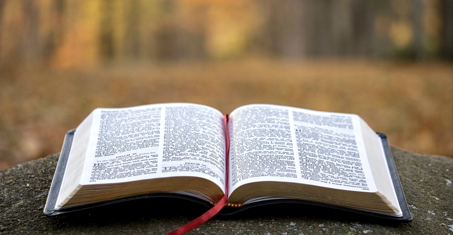 Chronological Reading Of The Bible