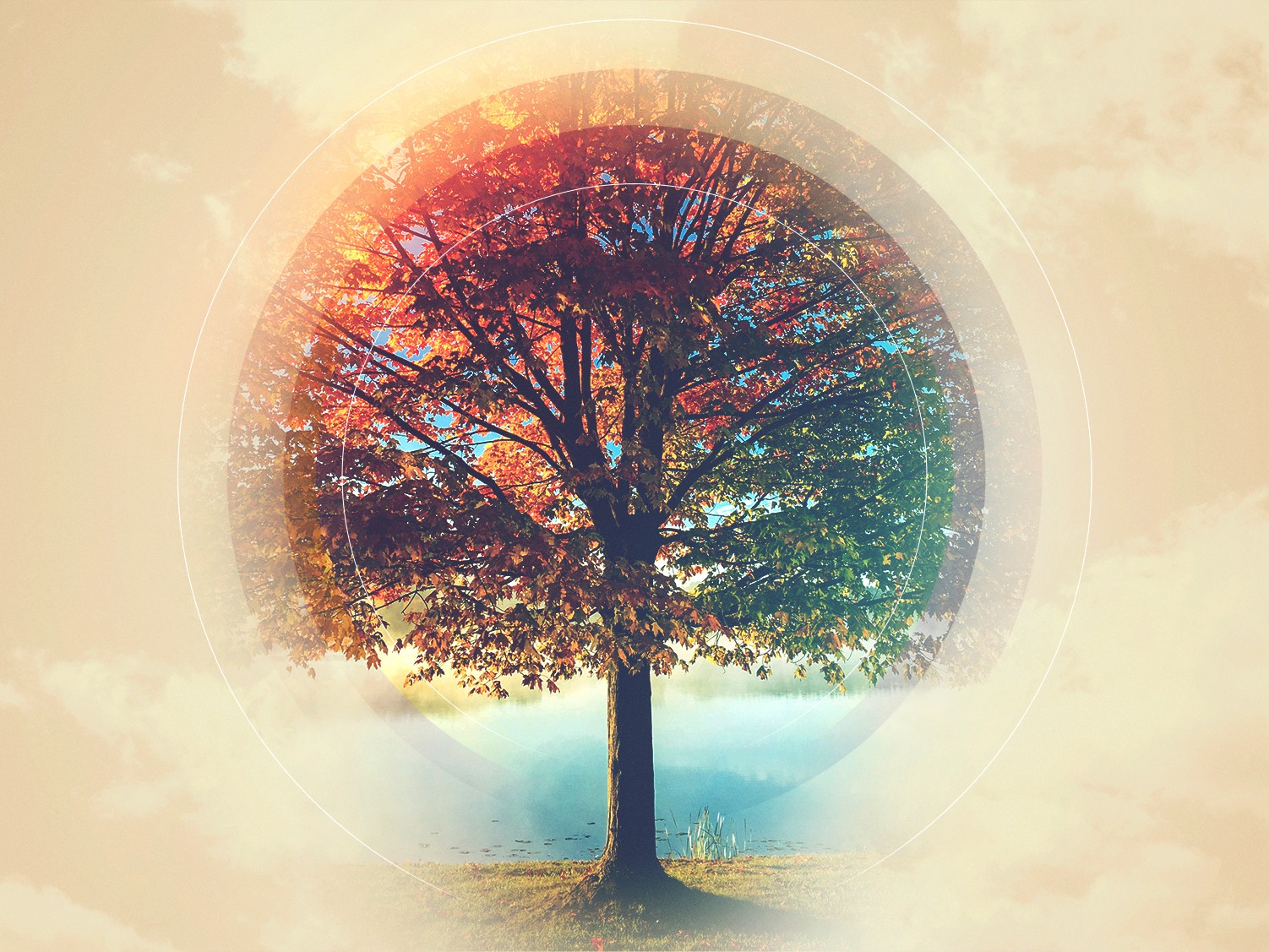 The 11th Commandment