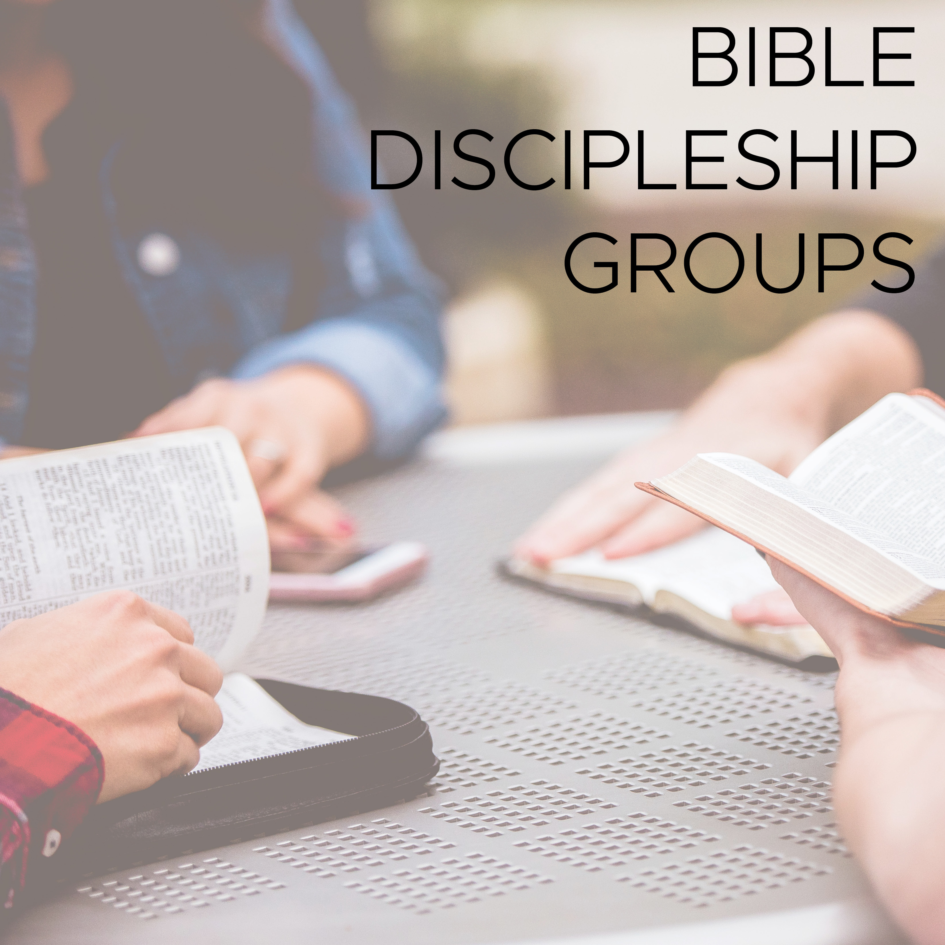 BIBLE DISCIPLESHIP GROUPS
