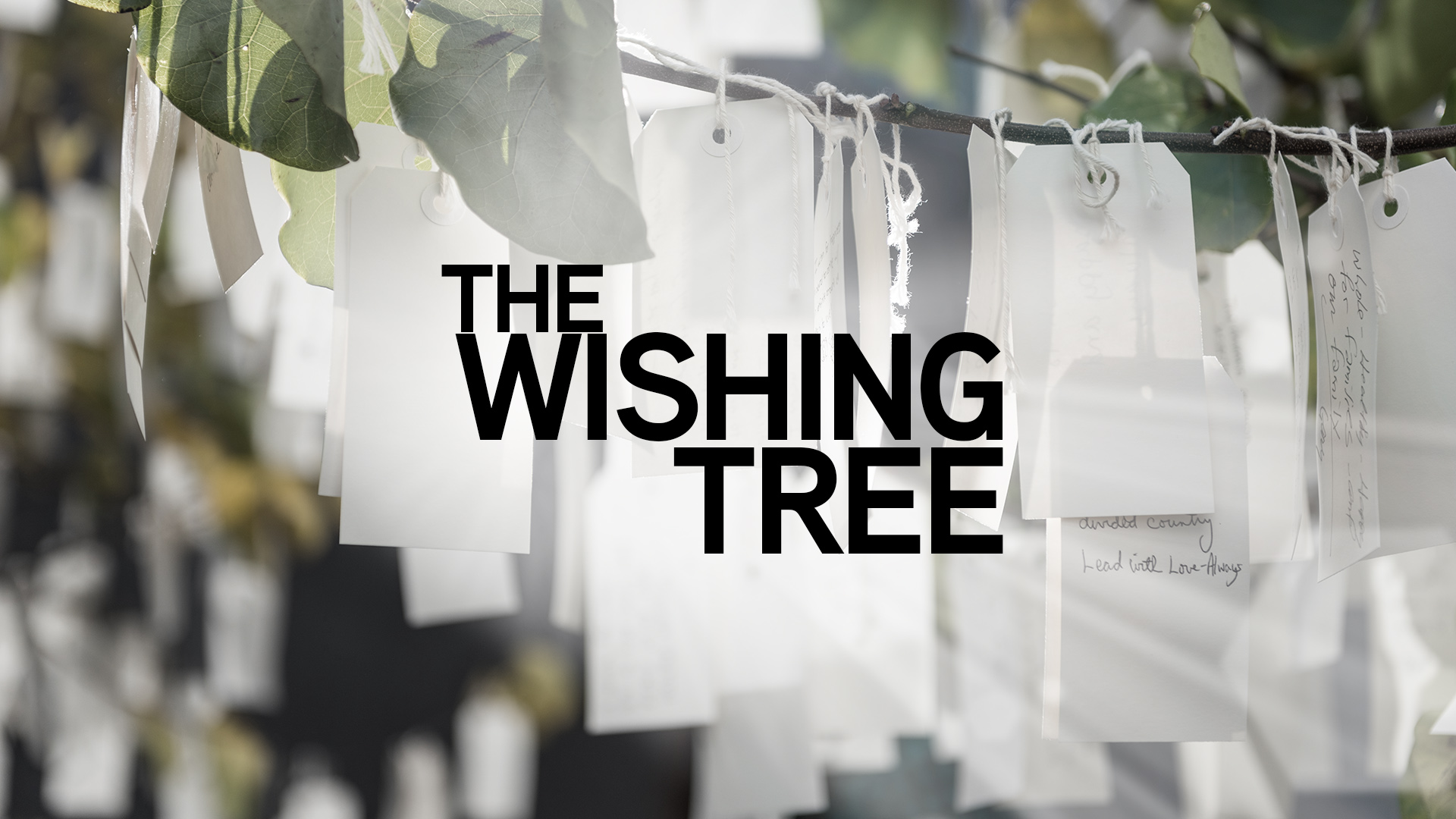 The Wishing Tree