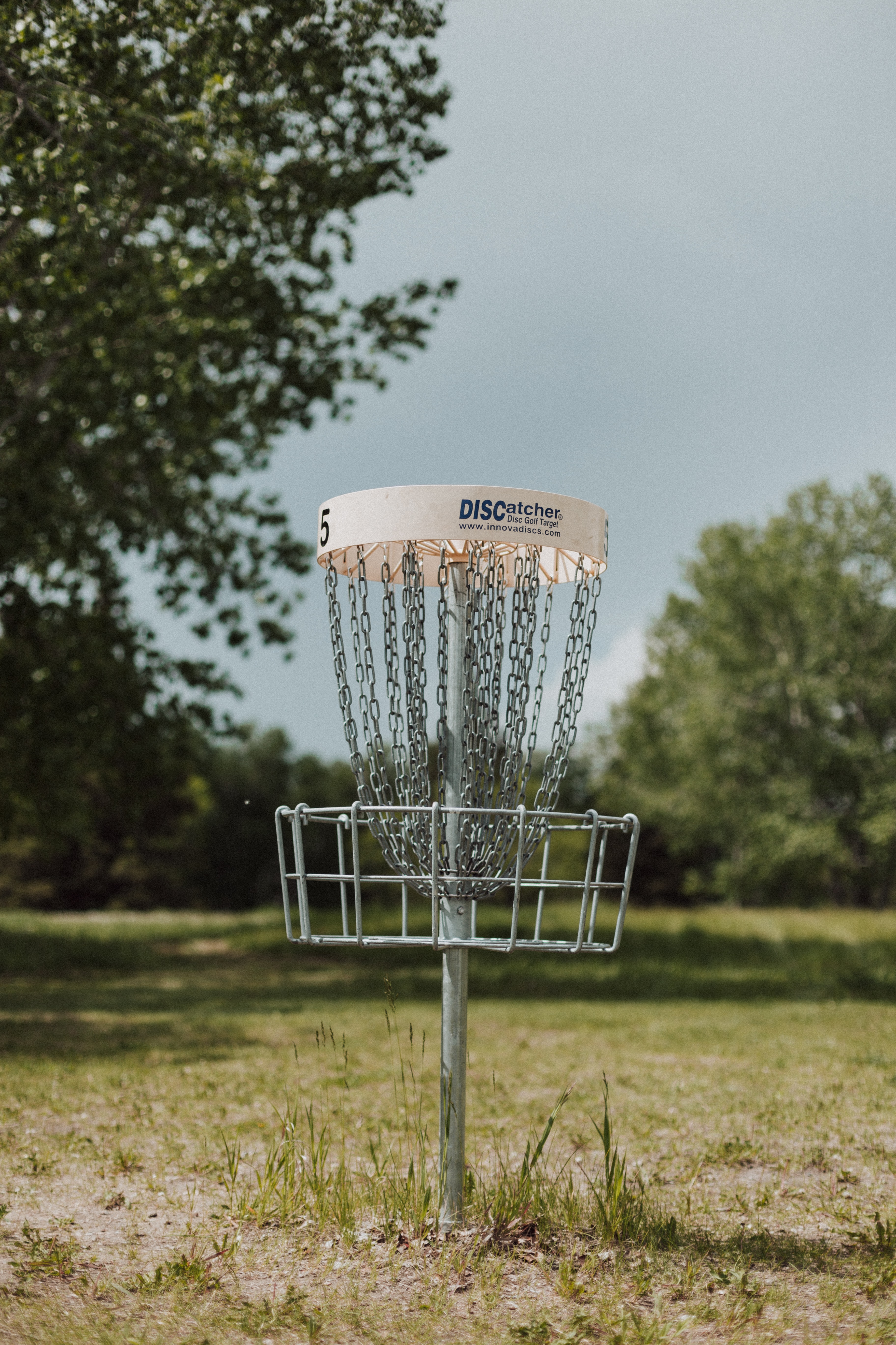 Disc Golf