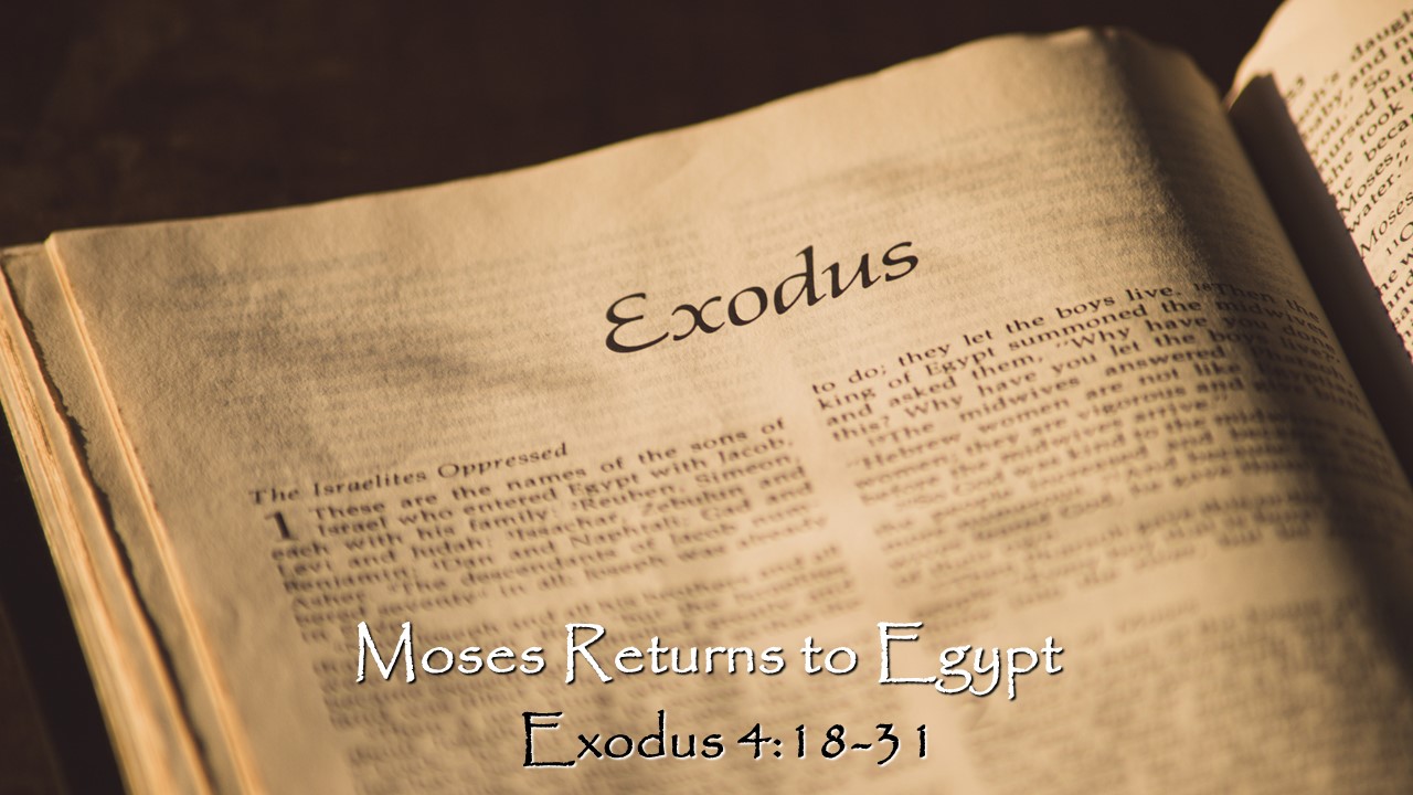 Exodus: Moses Returns to Egypt