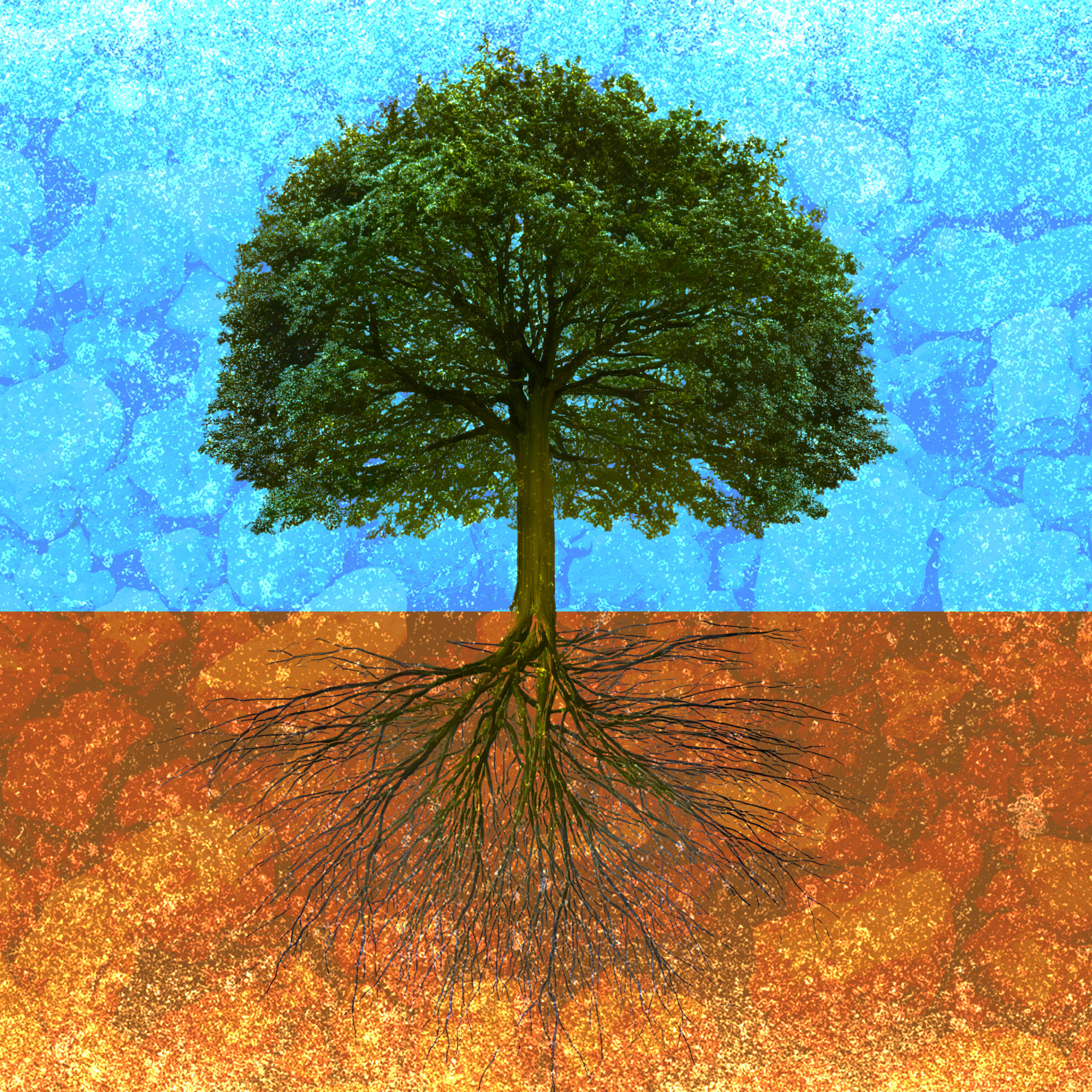 Solid Ground | Surrendered to God