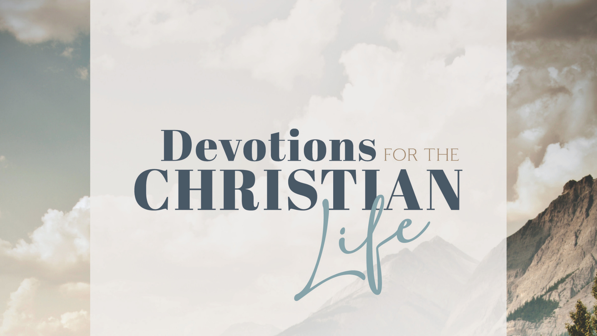 Kyle Mott - Unity in Diversity