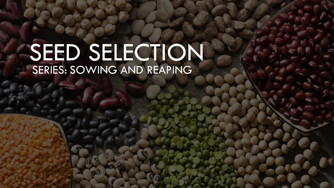 Seed Selection