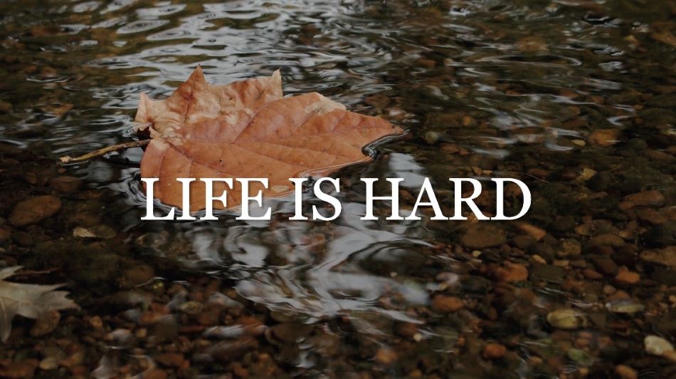 How to Live A Blessed Life in a Cursed World