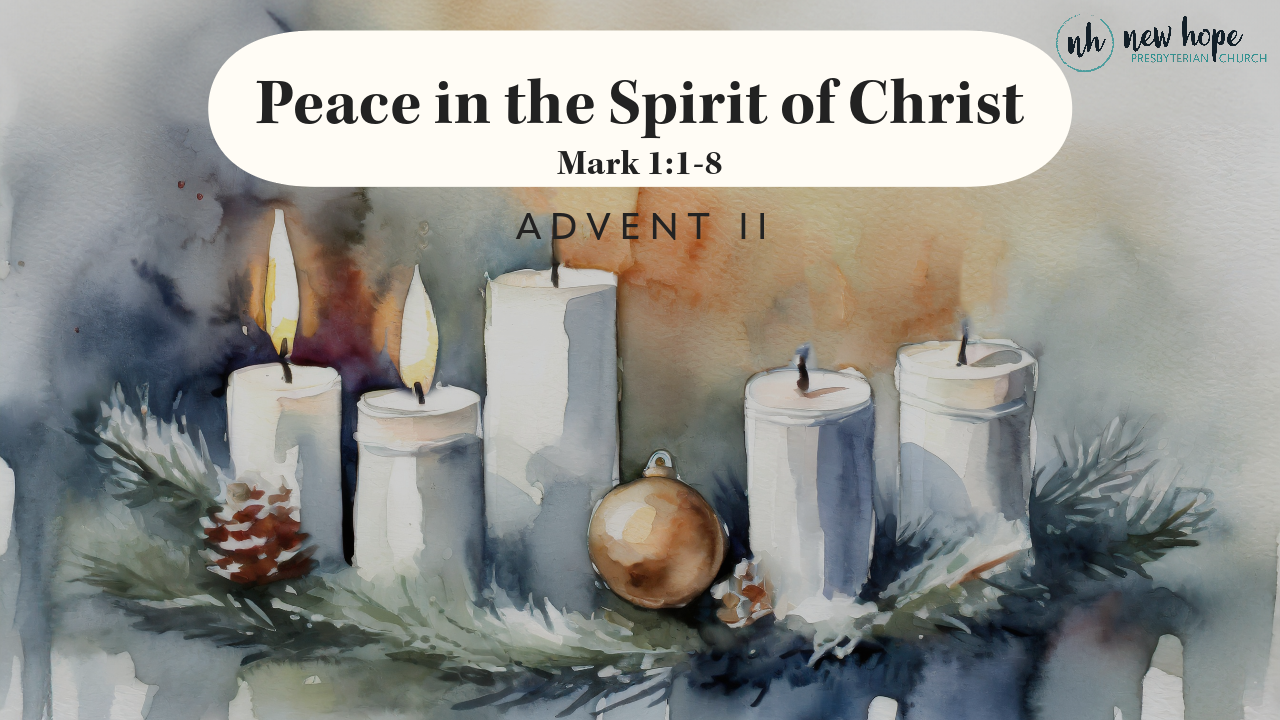 The Second Sunday of Advent: Peace in the Spirit of Christ