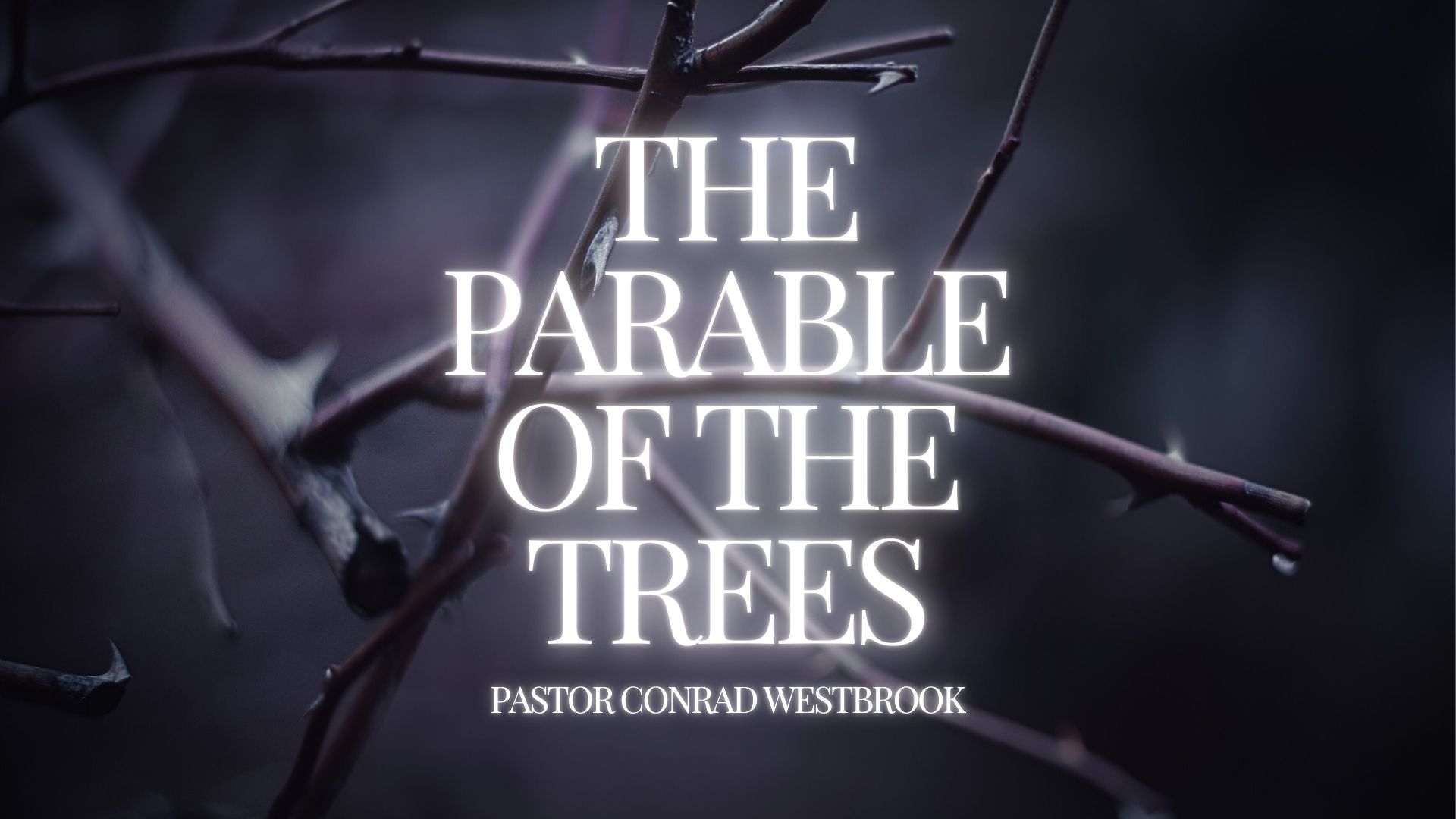 The Parable of The Trees