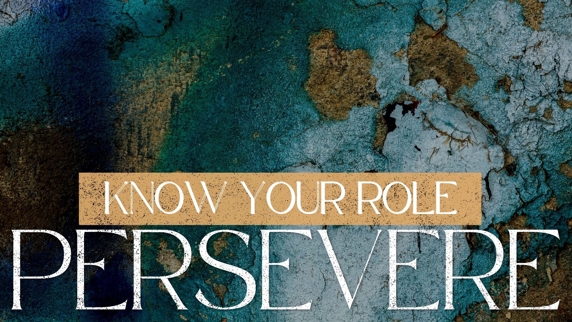 Persevere- Week 1- Know Your Role