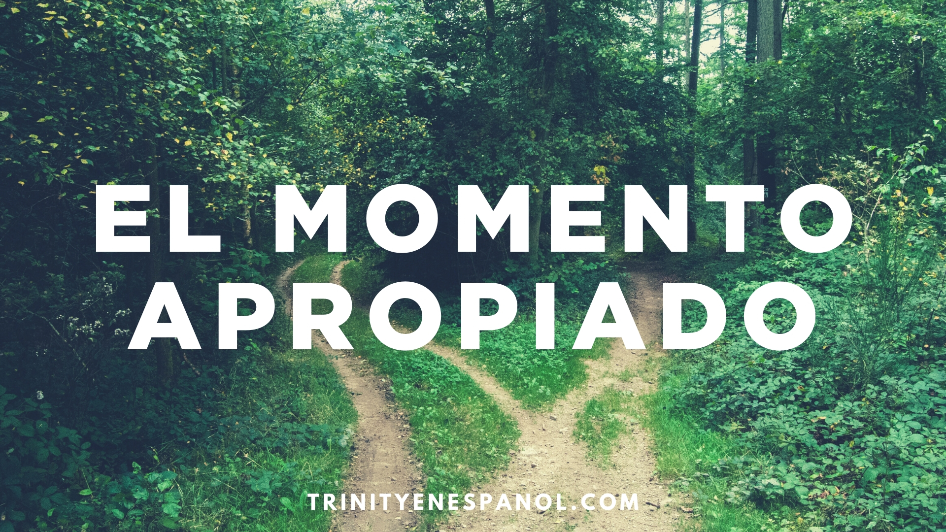 El Momento Apropiado