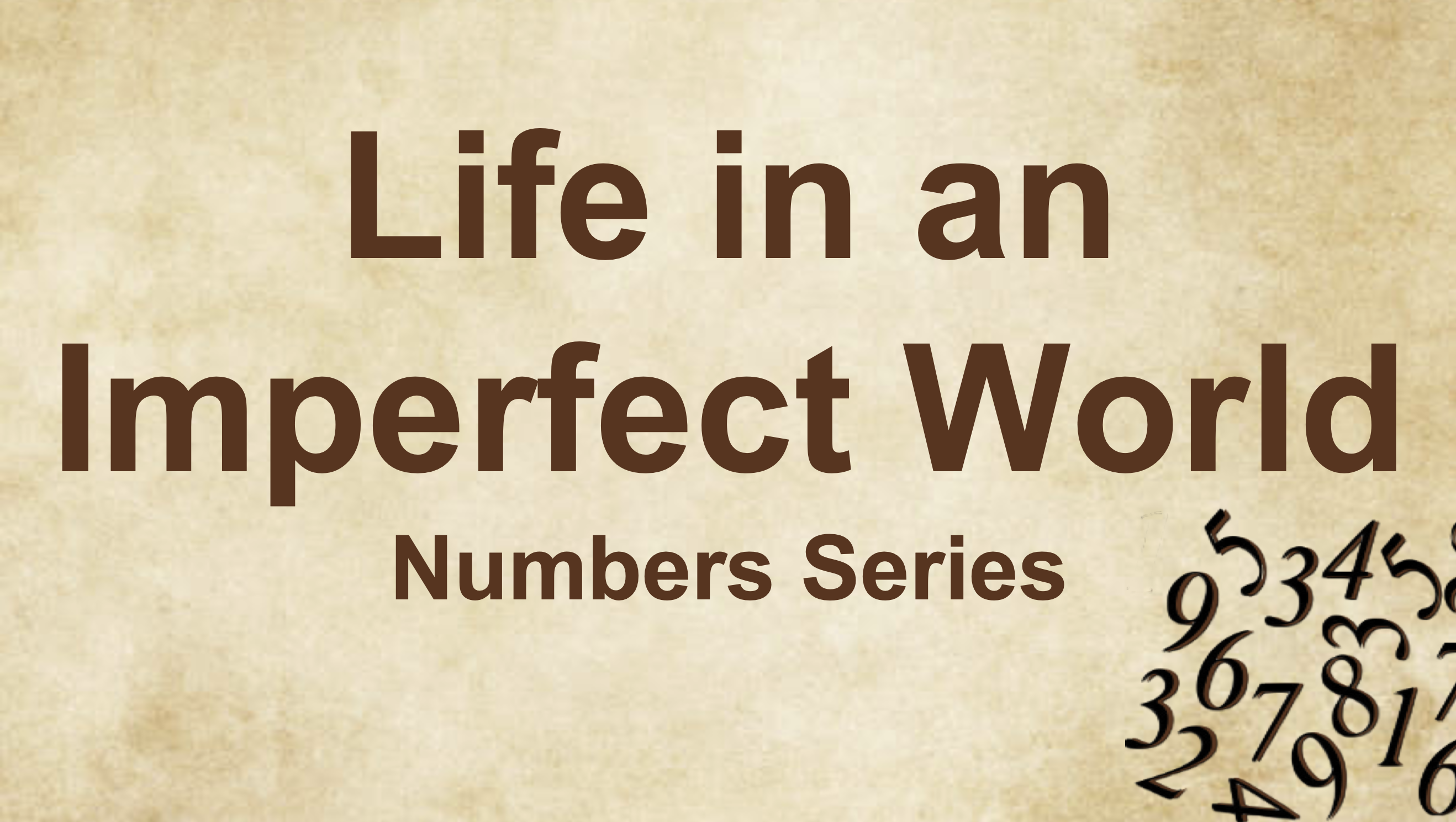 Life in an Imperfect World