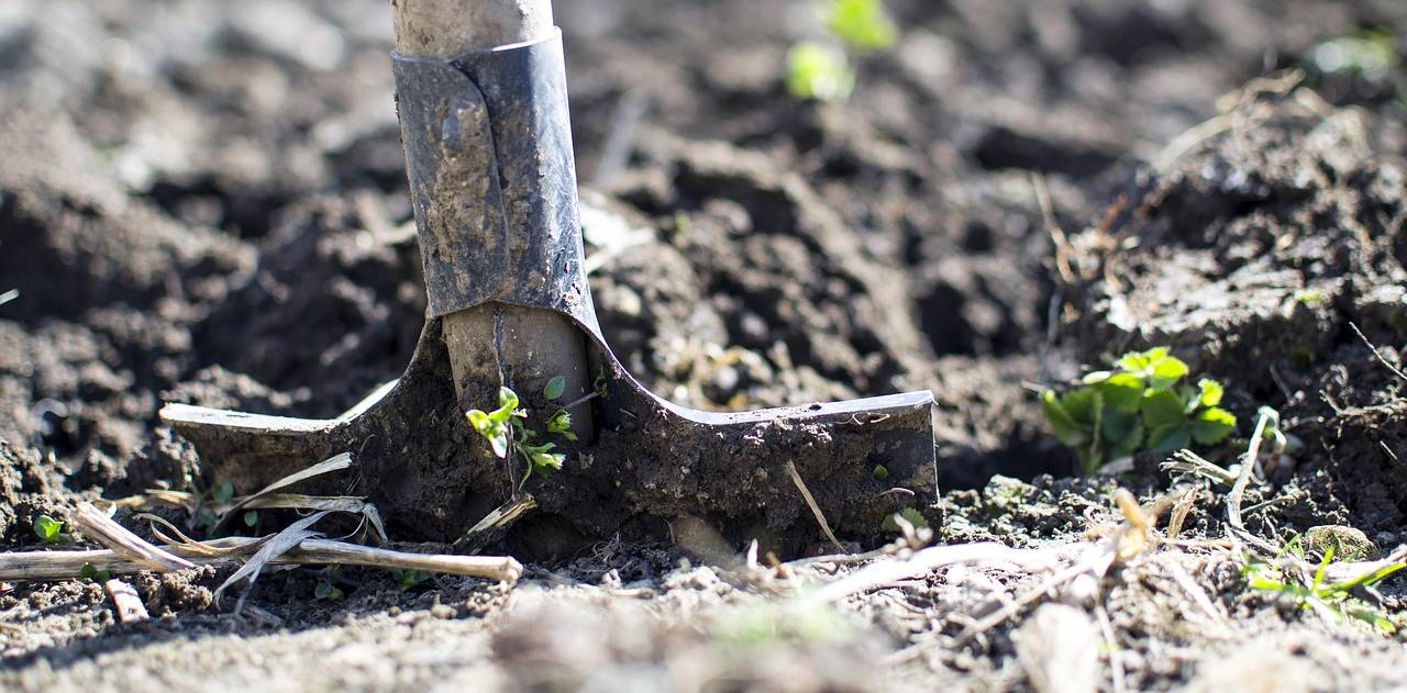 Welcome to Digging Deeper