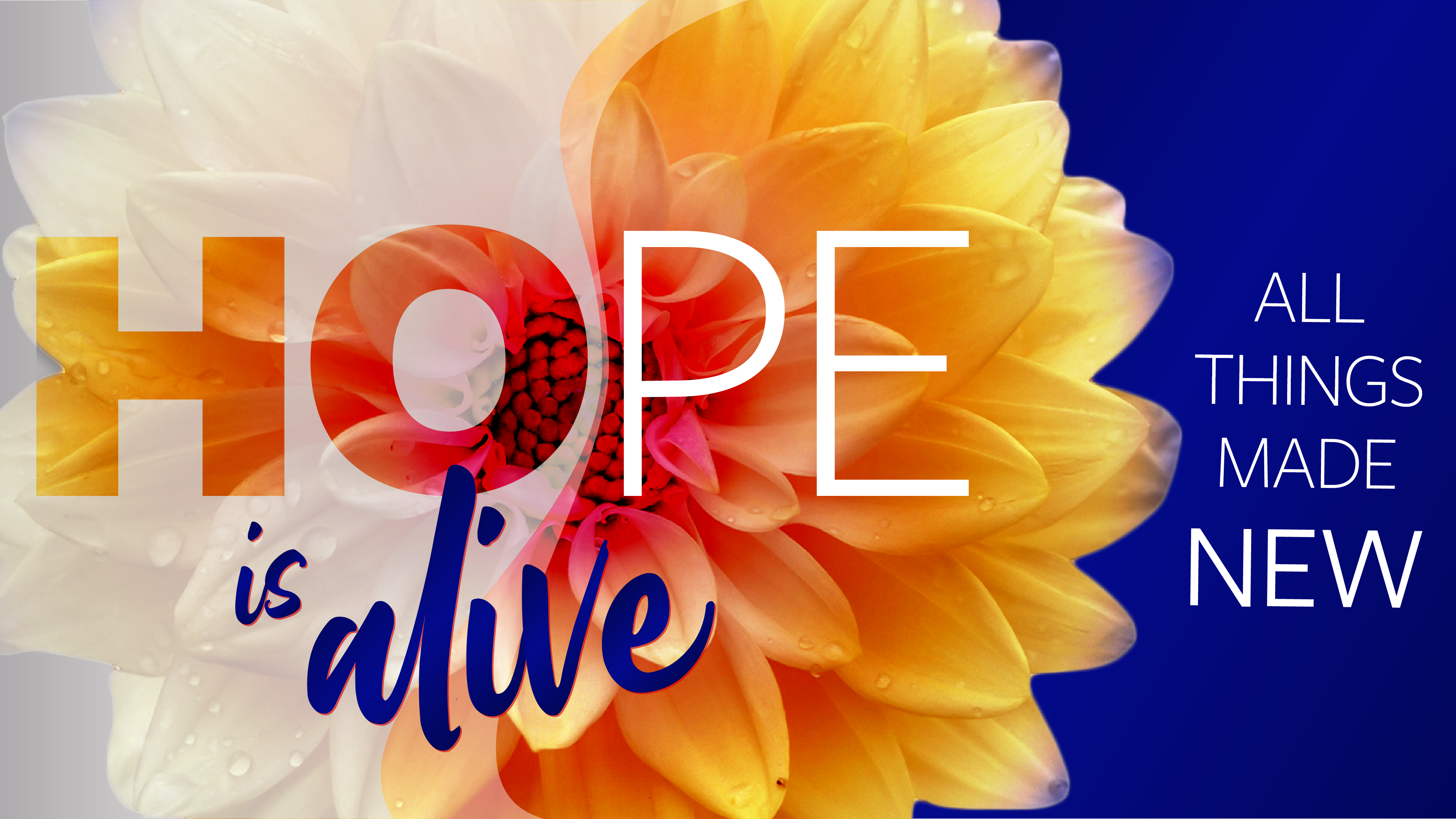 Hope Is Alive