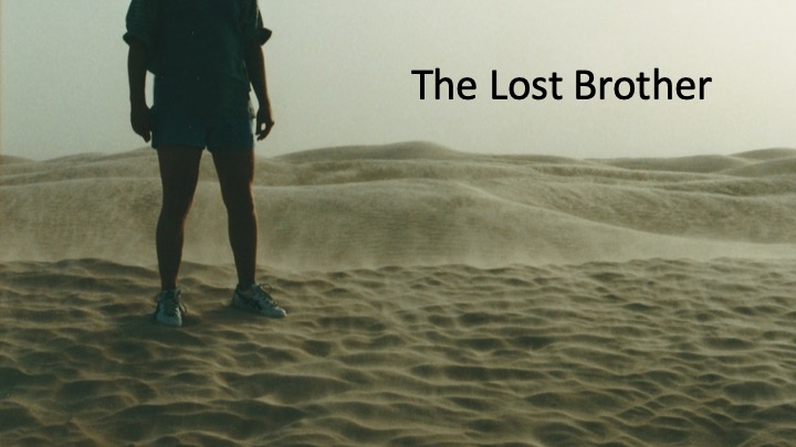 The Lost Brother