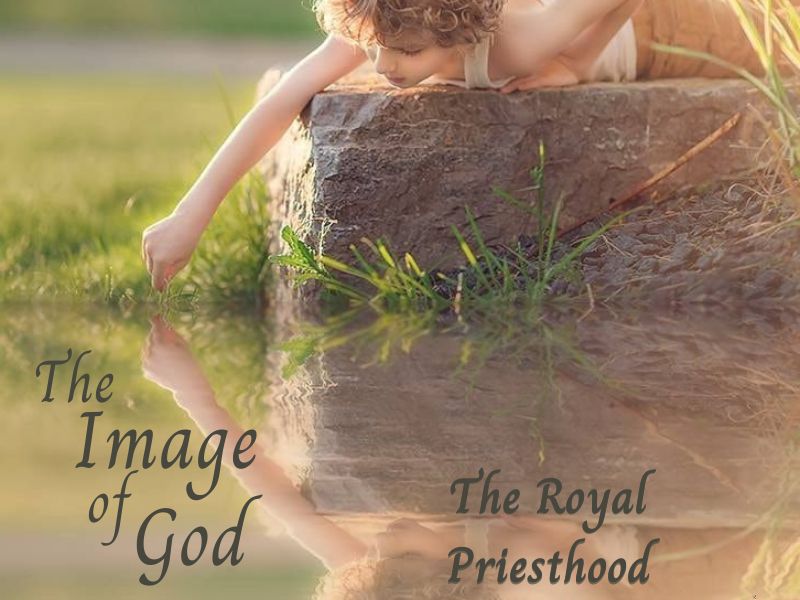 The Royal Priesthood- Image of God Series