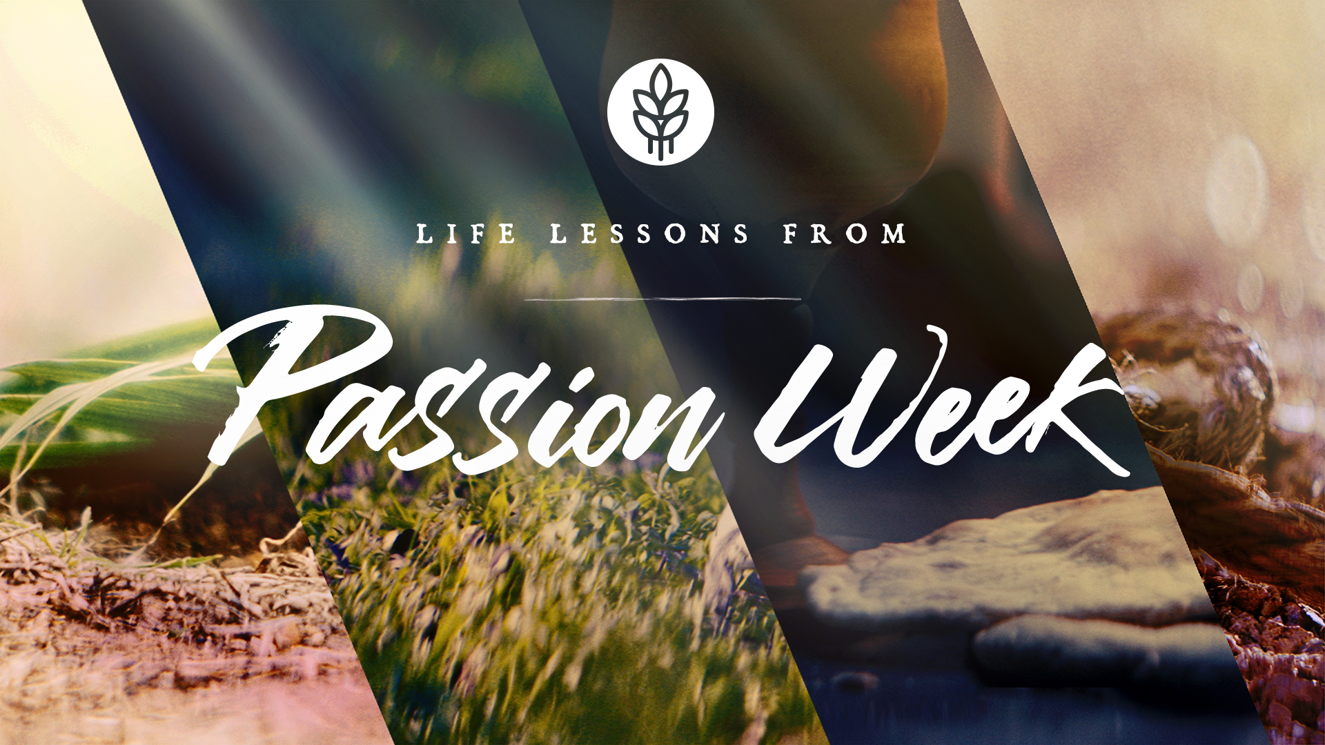 Life Lessons from Passion Week